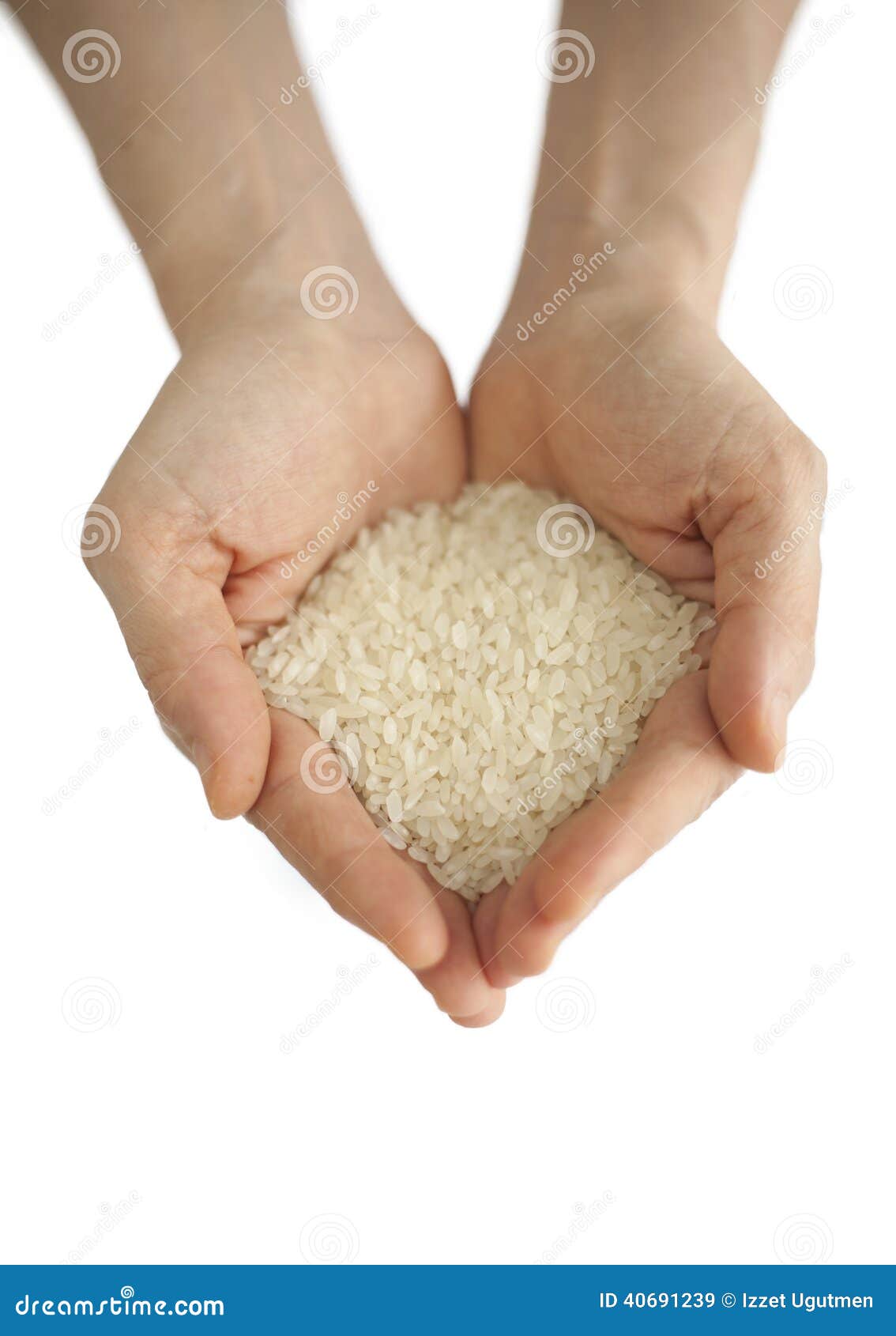 Rice stock image. Image of studio, objects, group, shot - 40691239