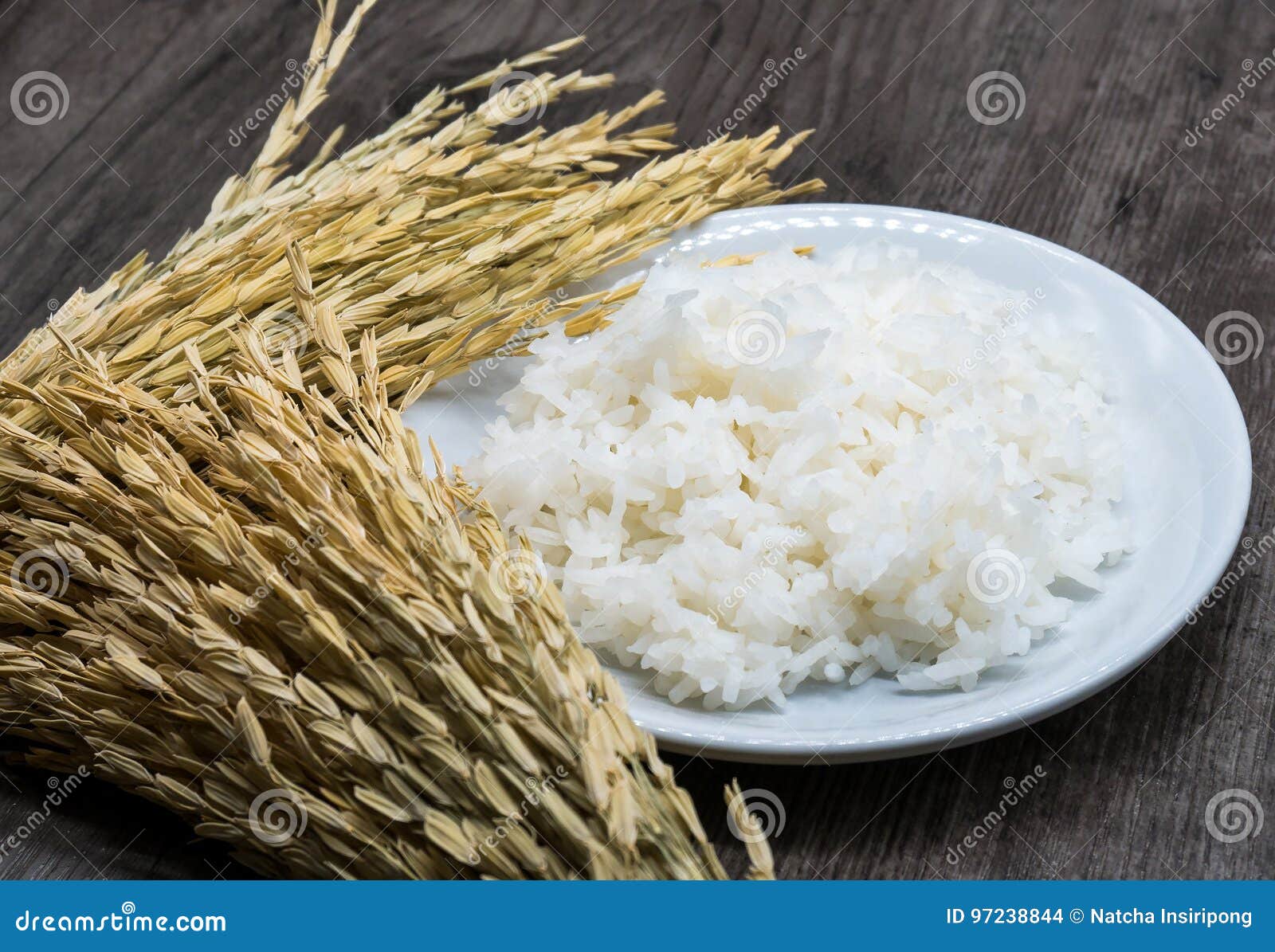 Rice in White Plate on Wooden Table Stock Photo - Image of culture ...