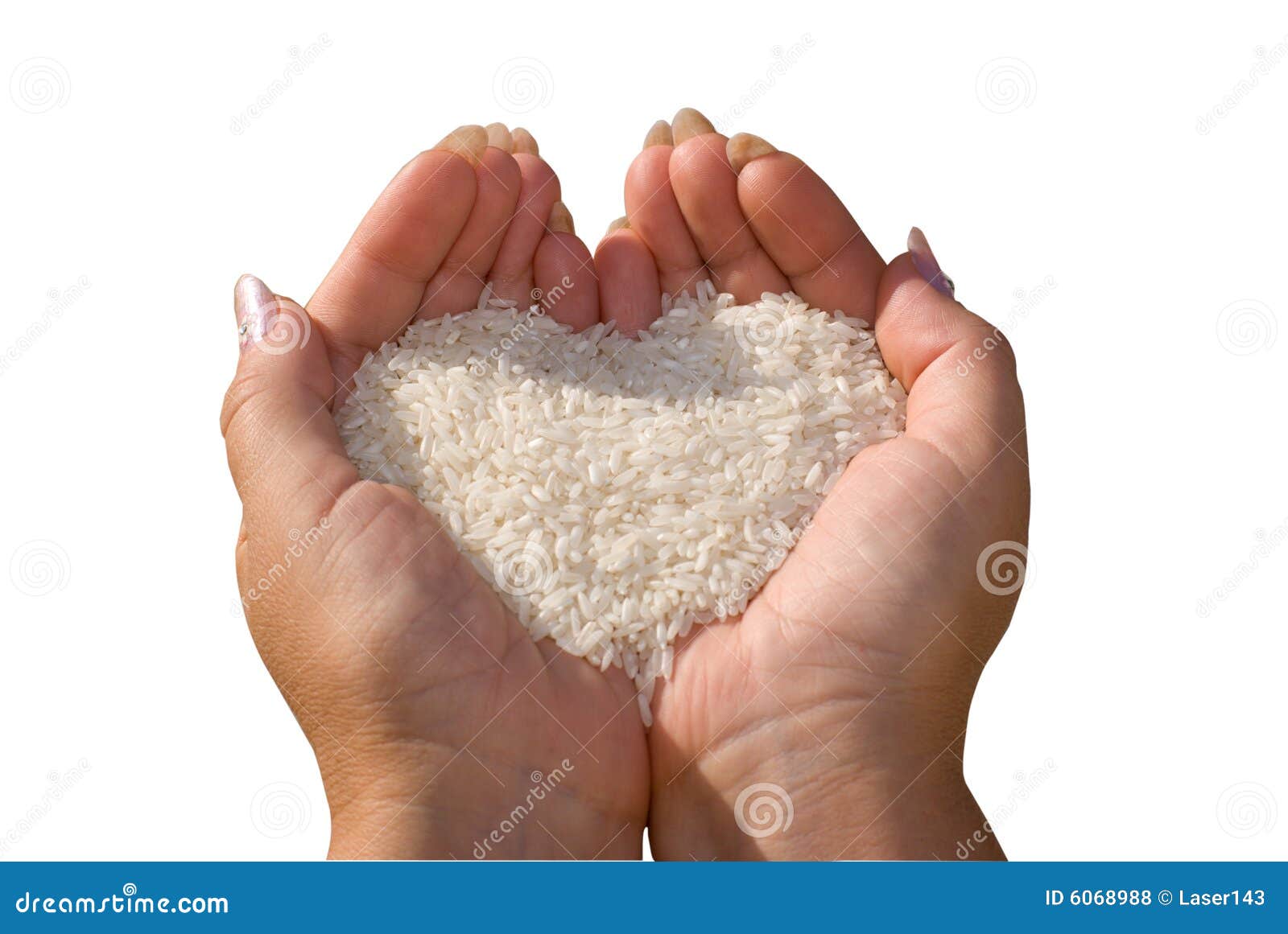 Rice in woman s hands. stock photo. Image of grain, cereal - 6068988