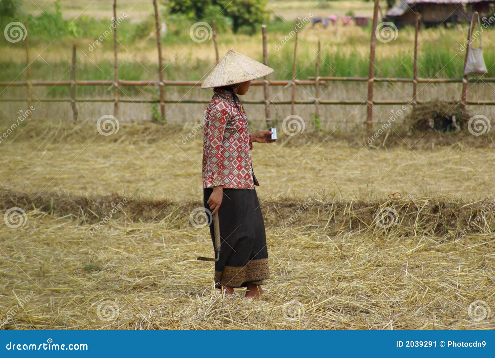 Rice Worker stock image. Image of asia, work, field, working - 2039291