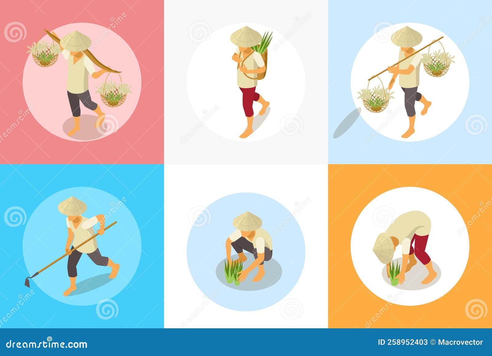 Rice Production Isometric Flowchart Vector Illustration | CartoonDealer ...
