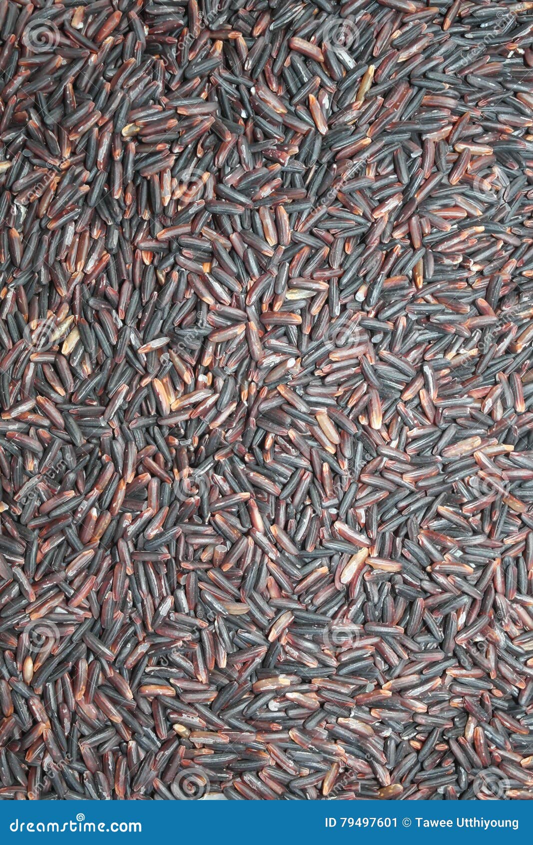 RiceBerry stock image. Image of background, health, carbohydrate - 79497601