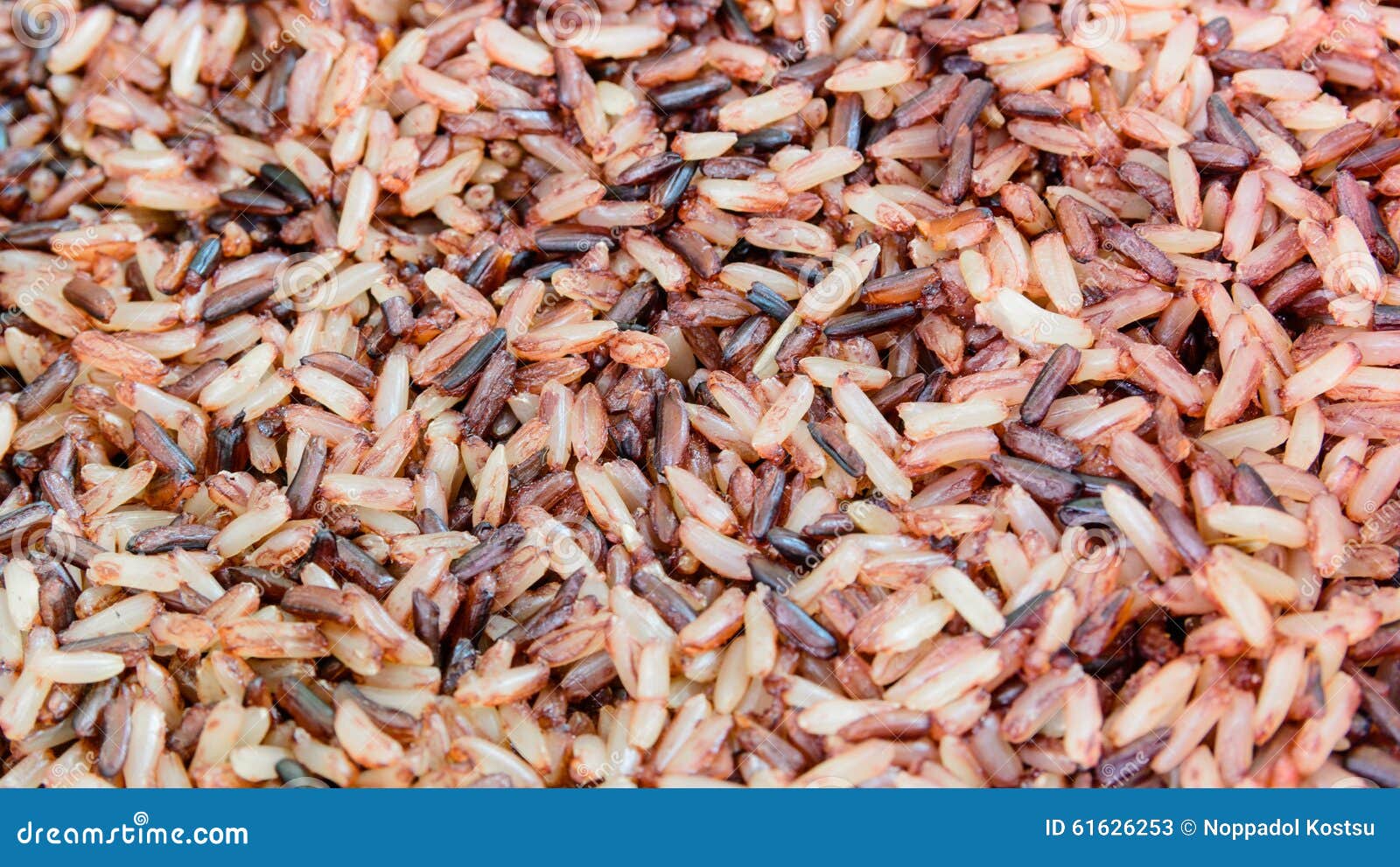 Riceberry Rice and Brown Rice in Thailand Stock Image - Image of diet ...