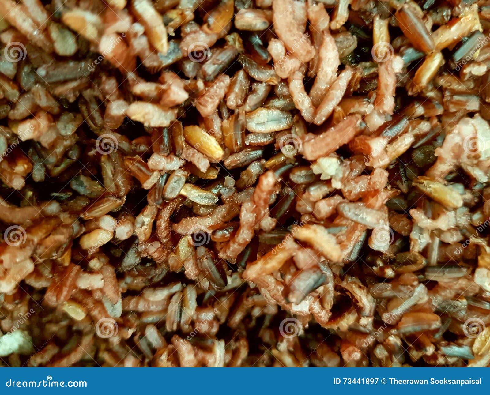 Riceberry rice stock image. Image of thailand, rice, health - 73441897