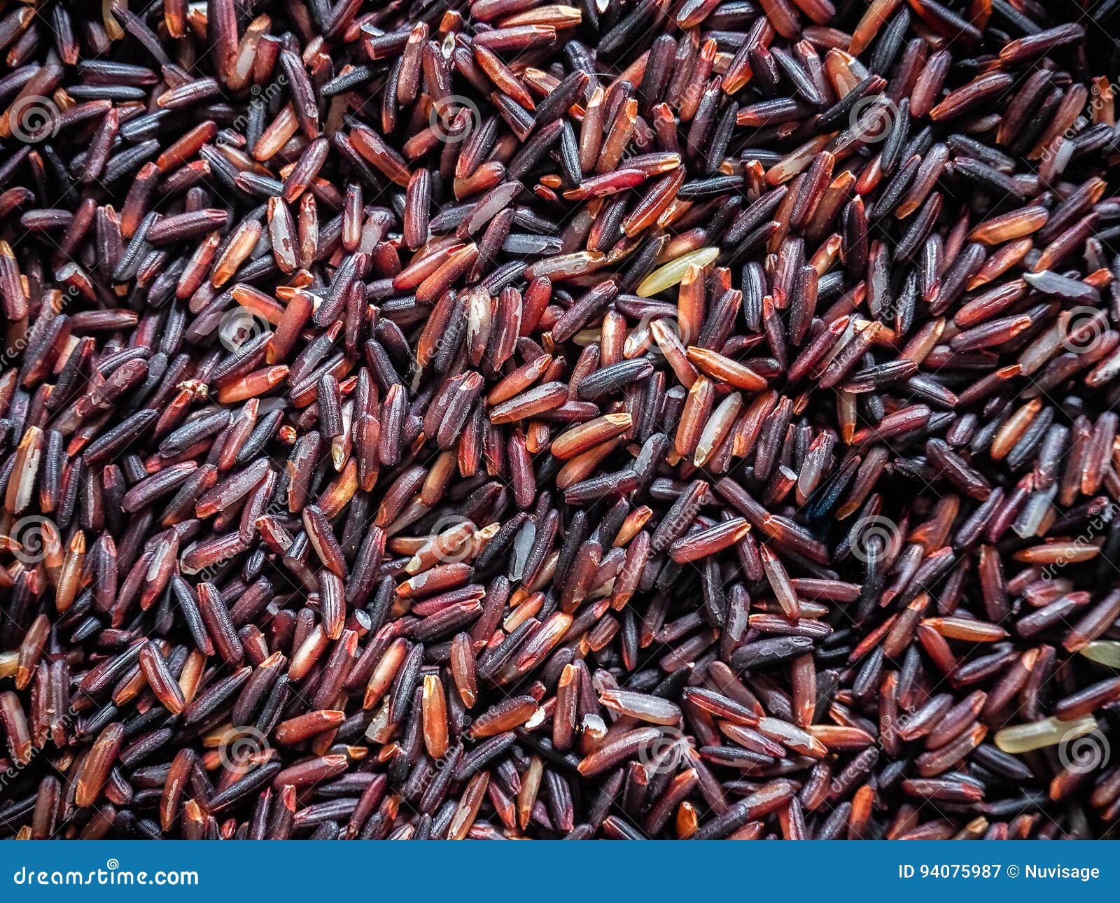 Riceberry stock image. Image of carbohydrate, agricultural - 94075987