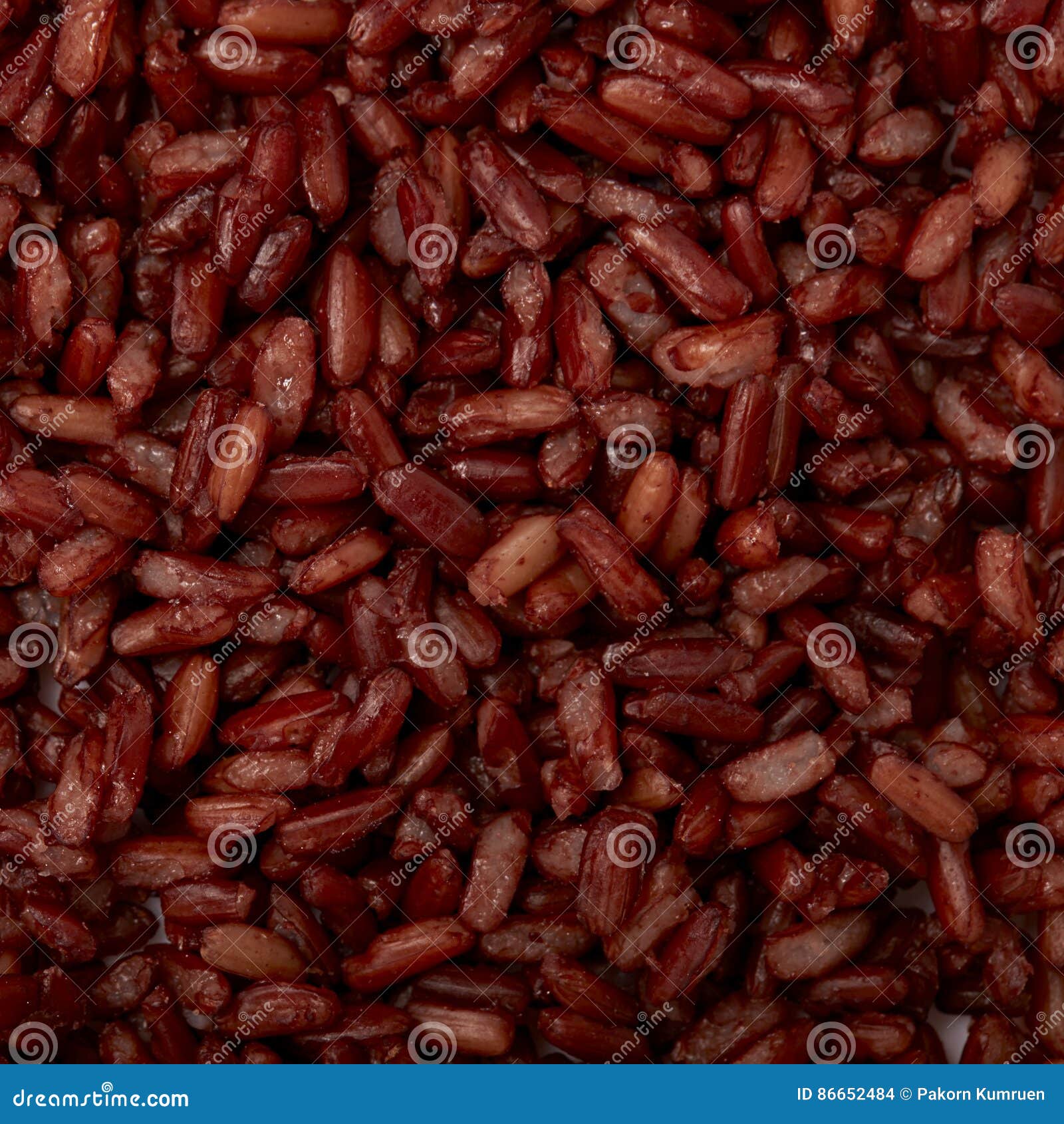 Riceberry stock photo. Image of asian, black, thai, closeup - 86652484