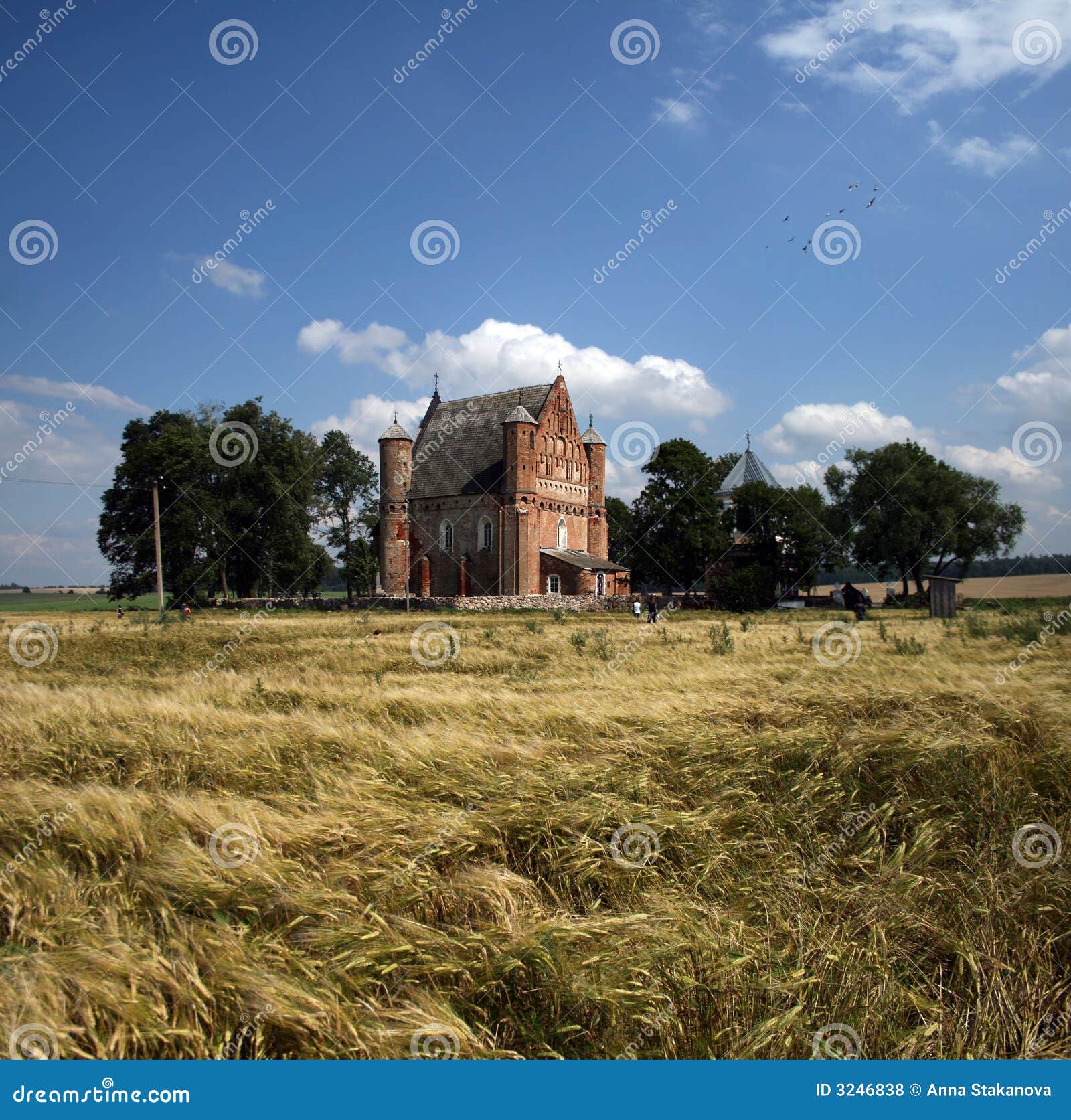 Rich stock photo. Image of nature, geography, outdoors - 3246838