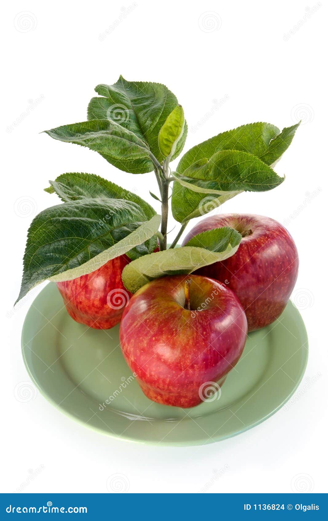 Rich apple crop stock photo. Image of healthy, background - 1136824