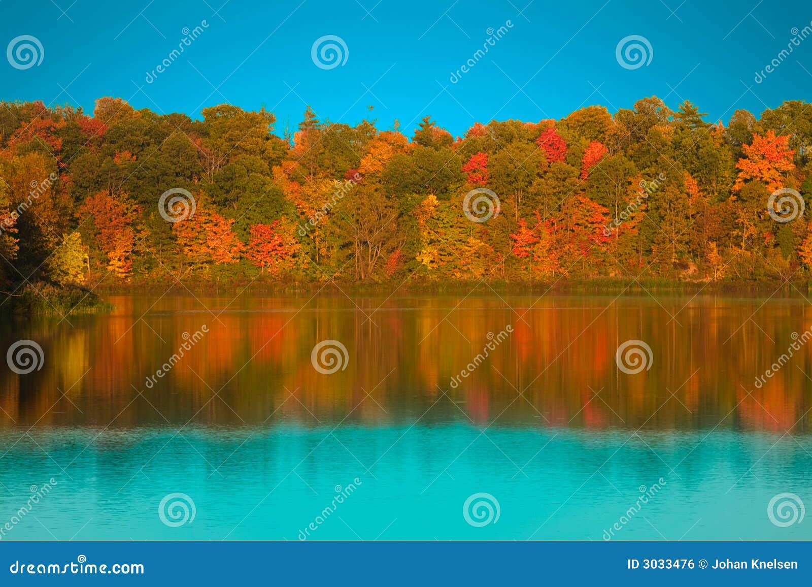 Rich Autumn Colors stock photo. Image of grow, greenish - 3033476