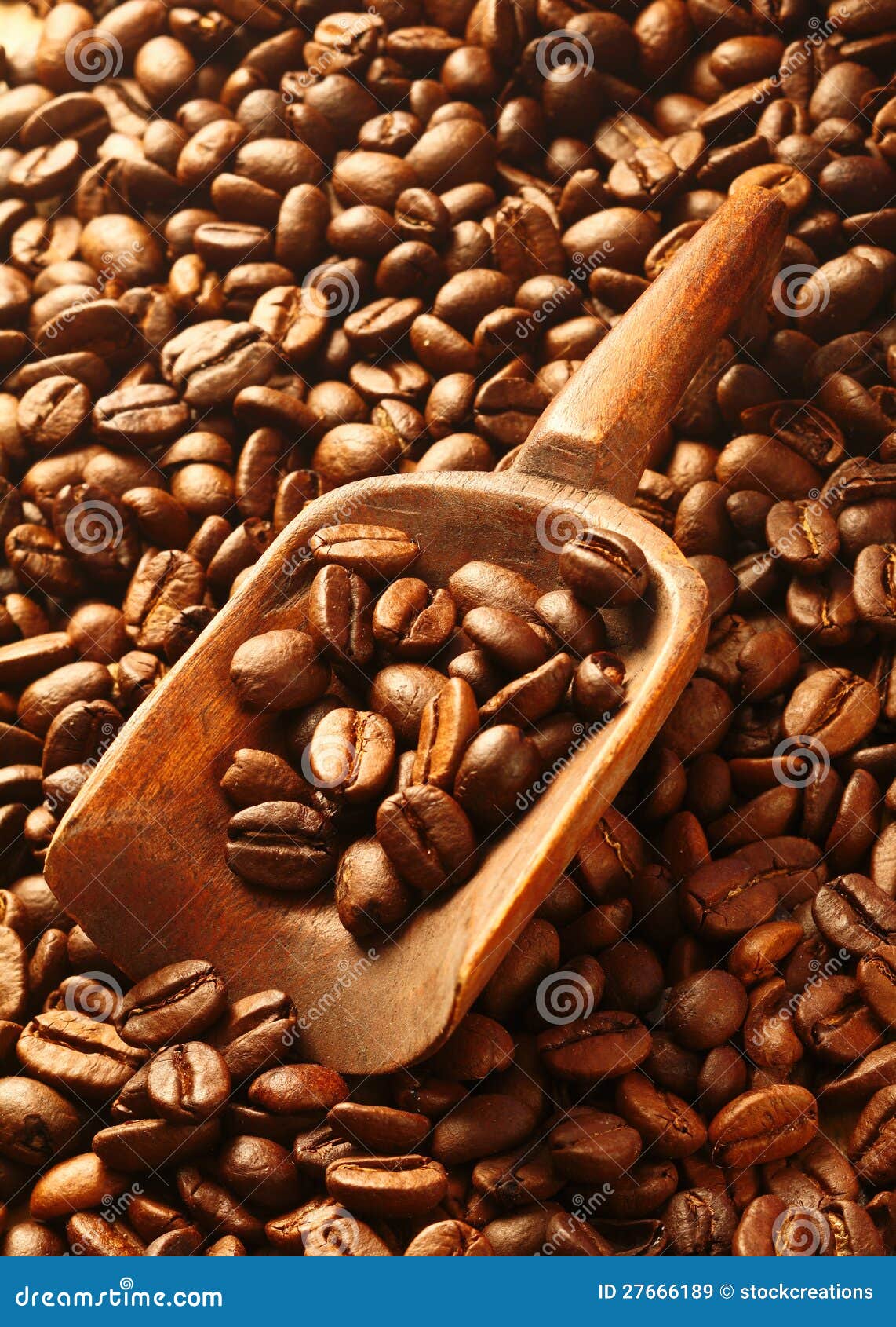 Rich Brown Fresh Roasted Coffee Beans Stock Image - Image of cappuccino ...