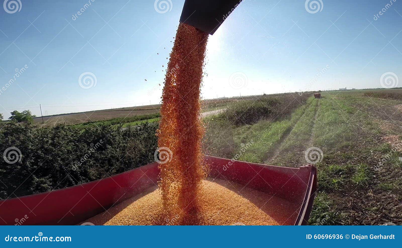 Corn Unloading Stock Footage & Videos - 744 Stock Videos