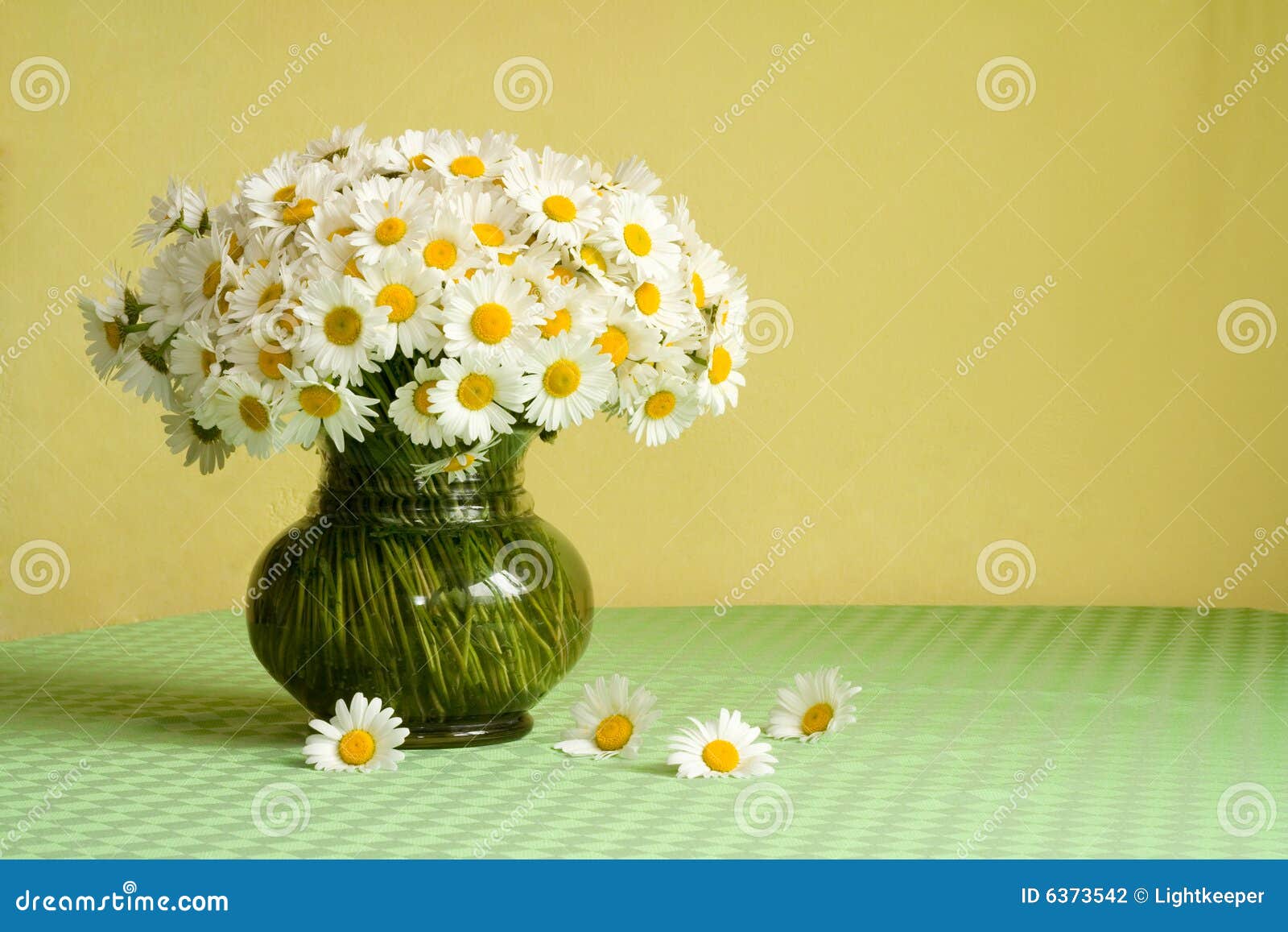 1,048 Rich Daisy Stock Photos - Free & Royalty-Free Stock Photos from ...