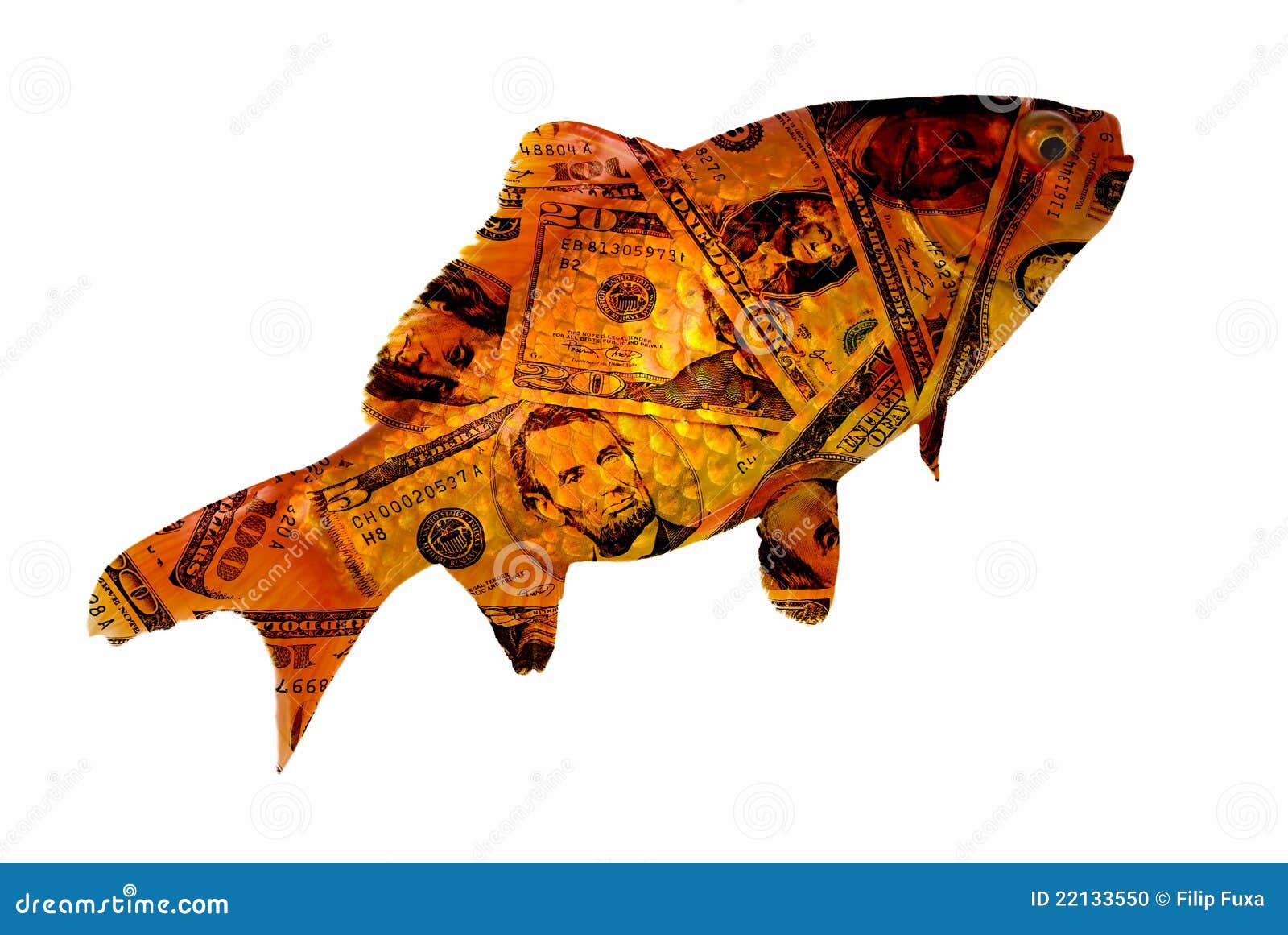 Rich Fish stock photo. Image of bills, small, body, costume - 22133550