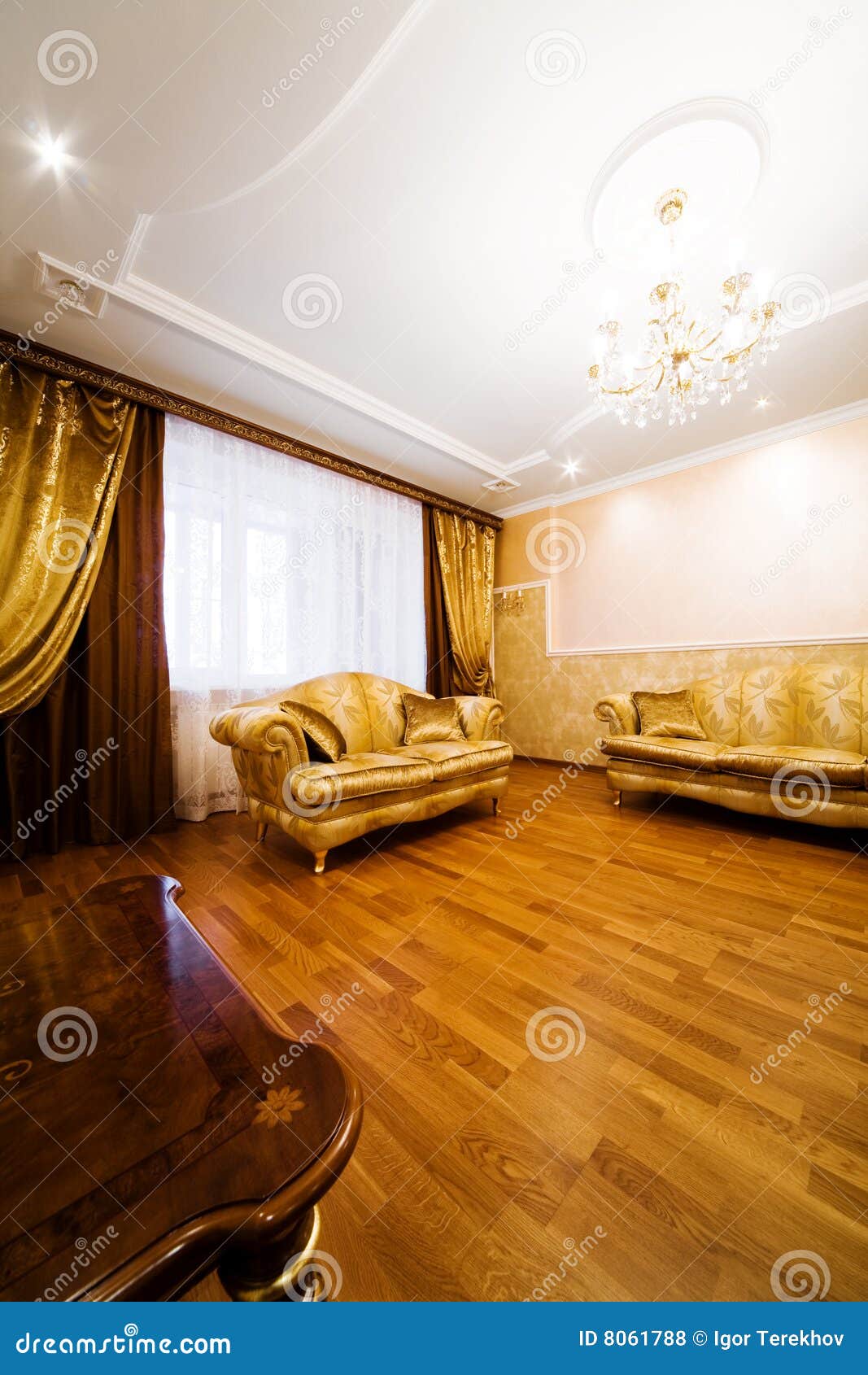 Rich flat stock photo. Image of light, indoors, parquet - 8061788