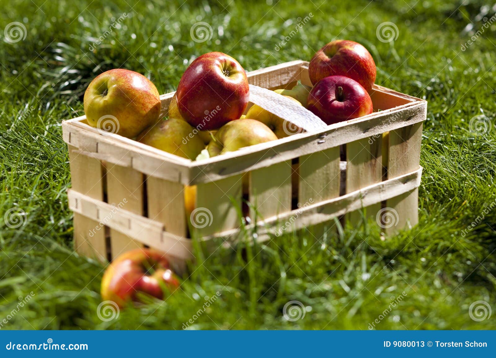 Rich Harvest of Beautiful Apples Stock Image - Image of apples, basket ...