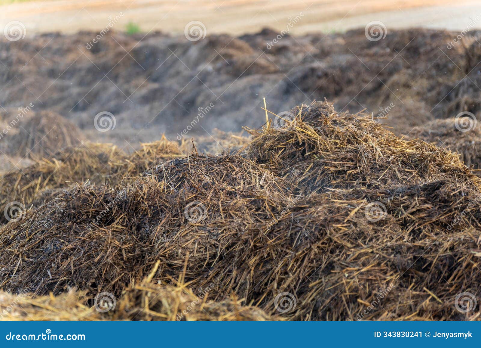 A Rich Layer of Manure Covers the Field, Transforming the Soil into ...