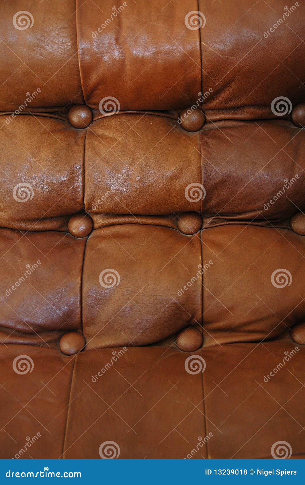 Rich Leather stock photo. Image of stylish, vertical - 13239018