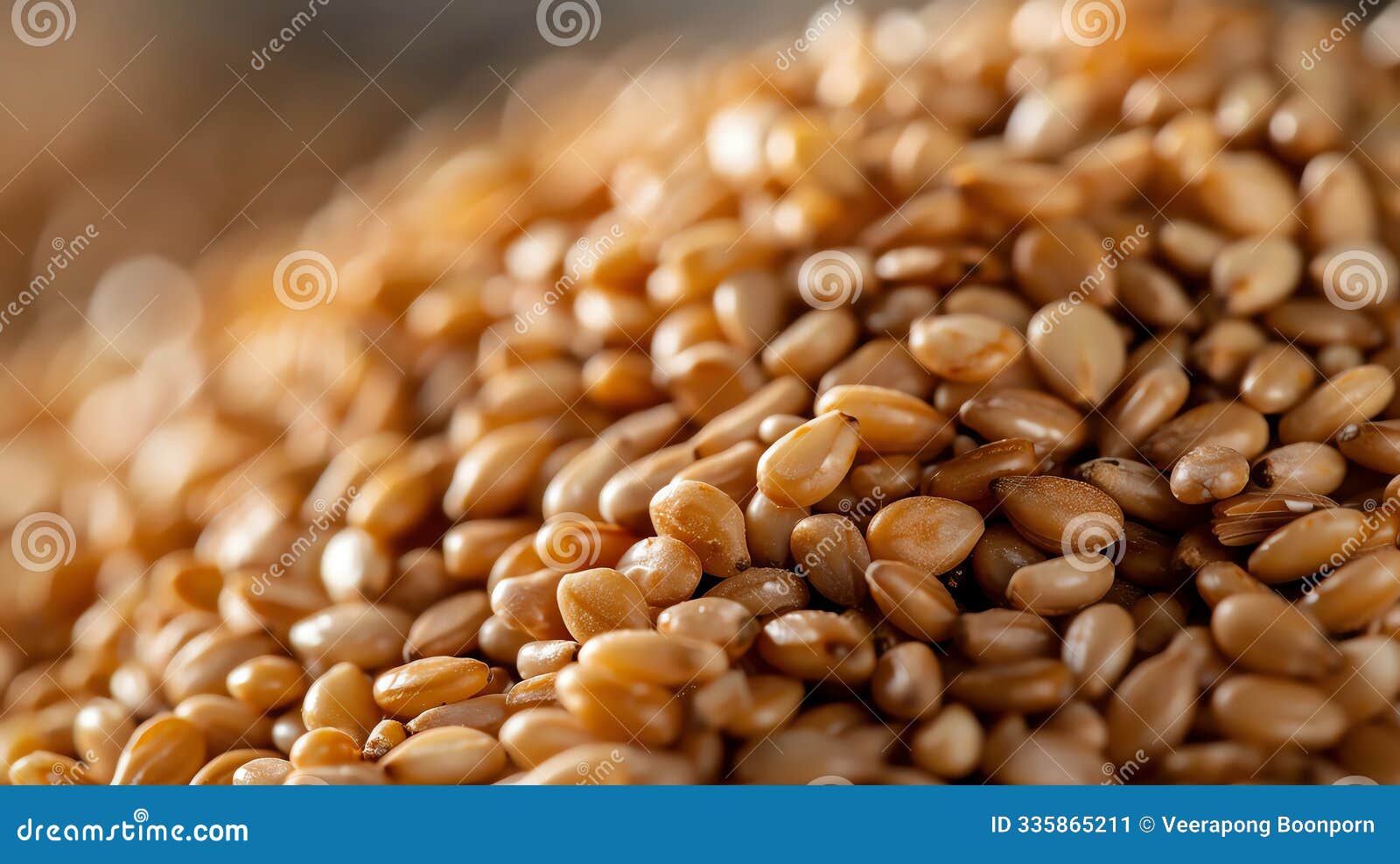 Rich Texture of the Sesame Seeds Adding Depth To the Image Stock ...