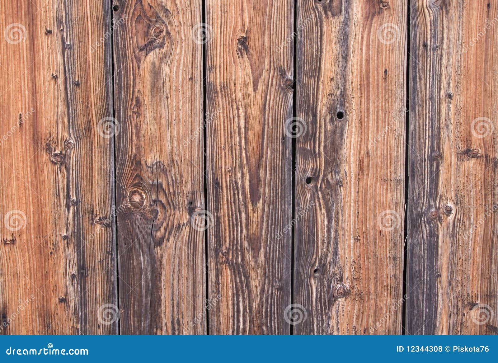 Rich wood stock photo. Image of holes, tree, floor, rustic - 12344308