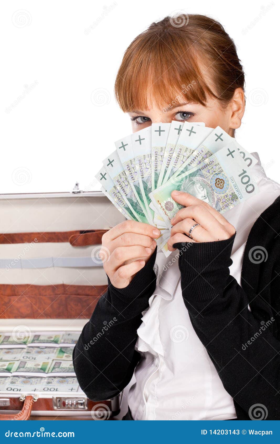 Rich young woman stock image. Image of suitcase, briefcase - 14203143