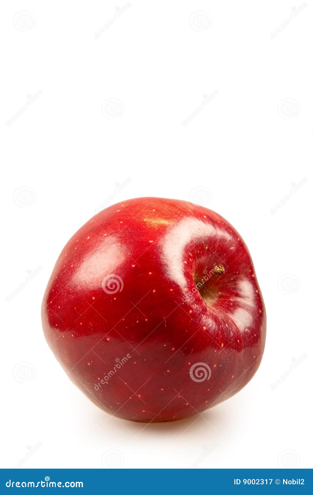 Richard Delishes red apple stock image. Image of apple - 9002317