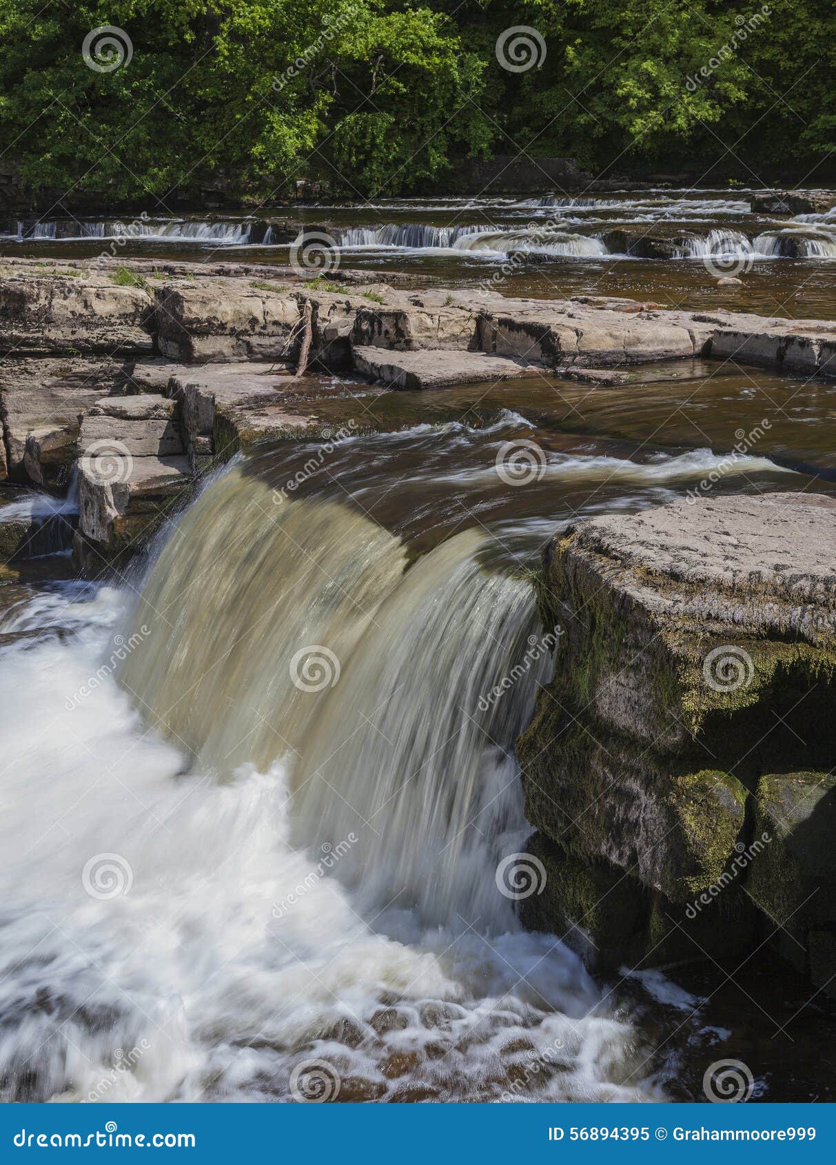 Richmond Falls stock image. Image of river, yorkshire - 56894395