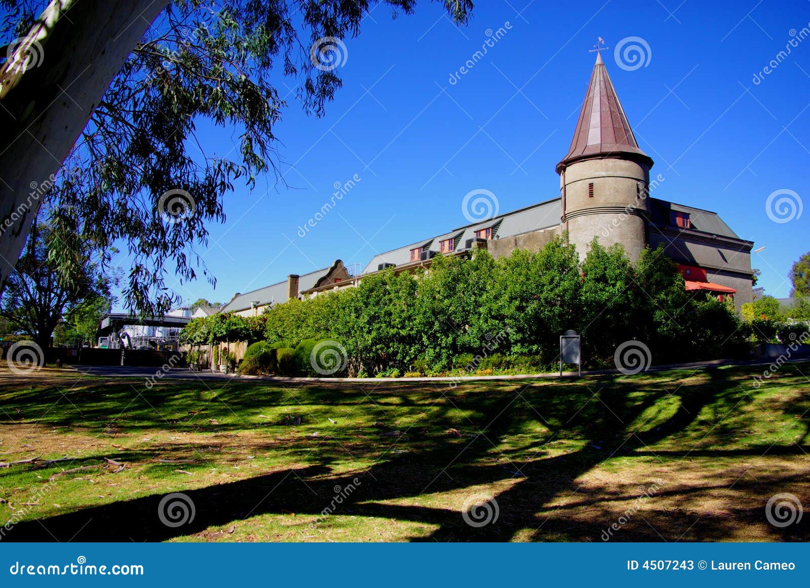 Richmond Grove Winery stock image. Image of barossa, gardening - 4507243