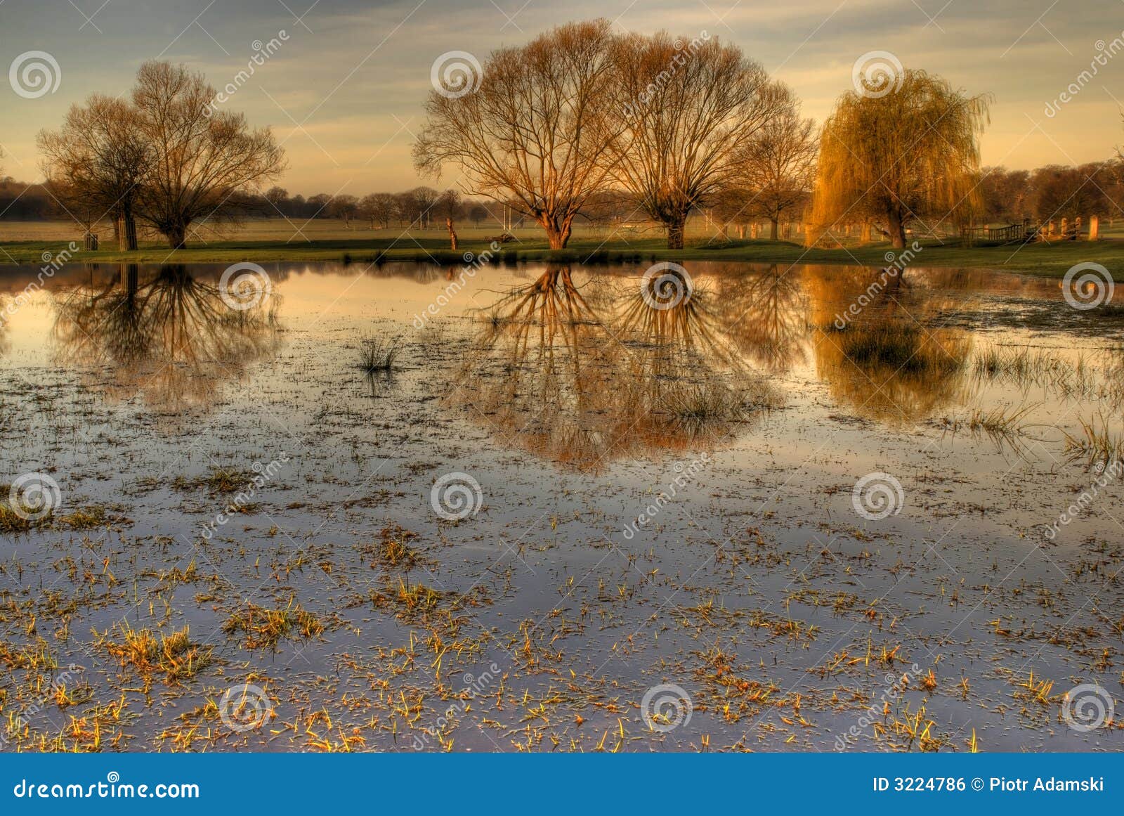 Richmond Park stock photo. Image of morning, lake, colors - 3224786