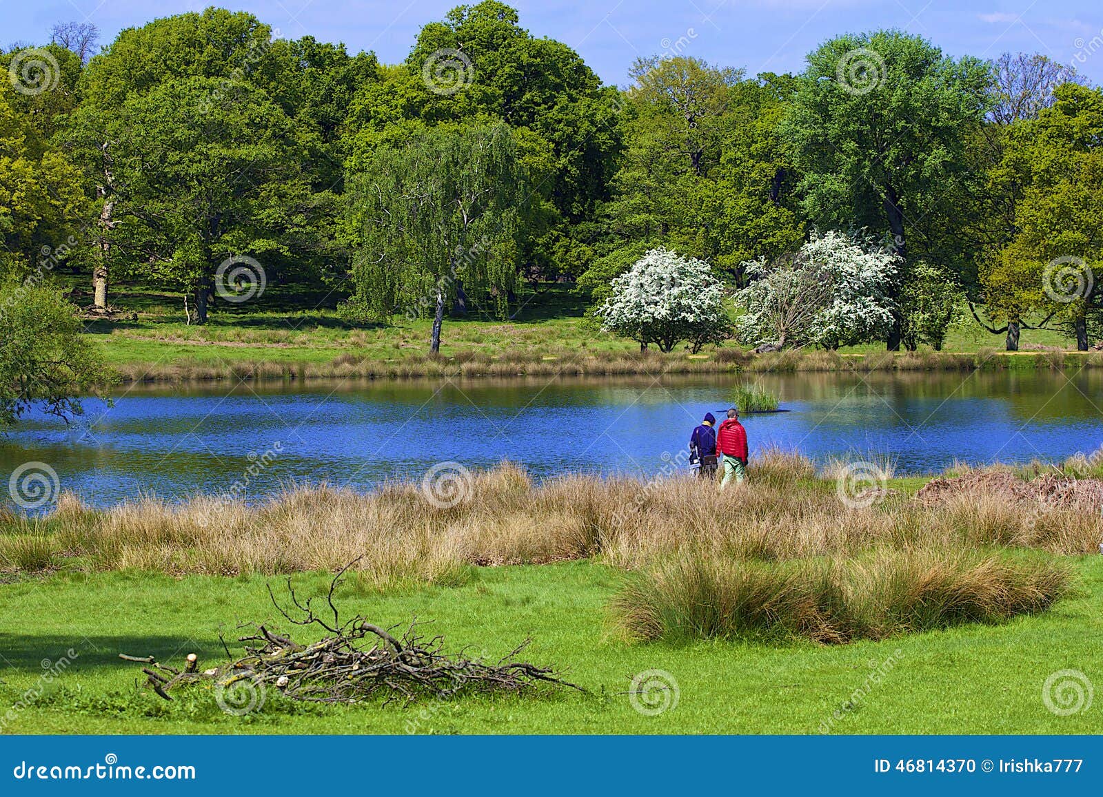 Richmond park in London, editorial image. Image of landmark - 46814370