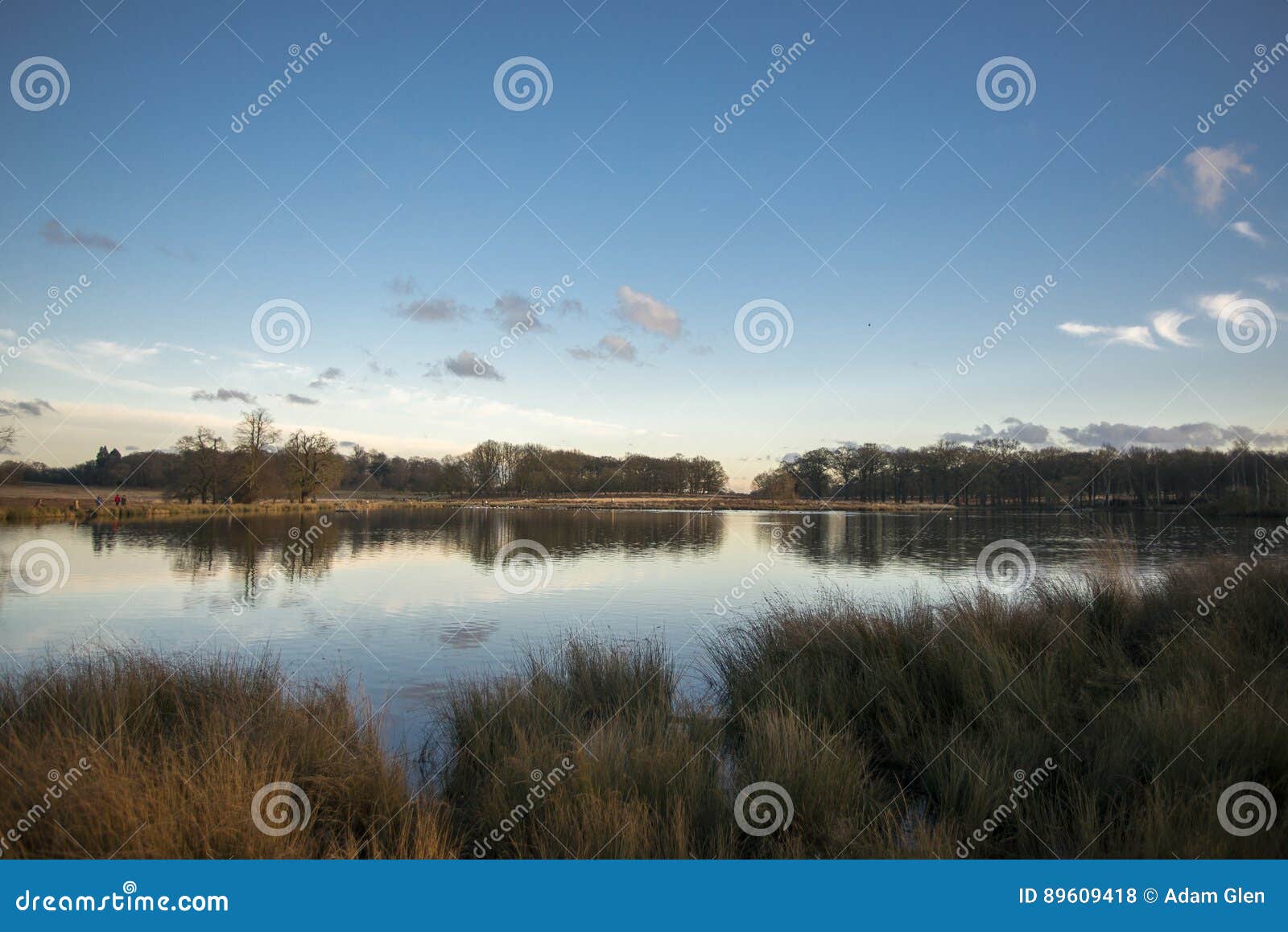 Richmond park stock photo. Image of lake, park, scenic - 89609418
