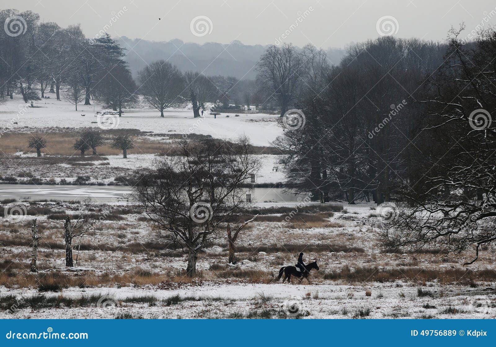 Richmond park in the snow stock image. Image of frozen - 49756889