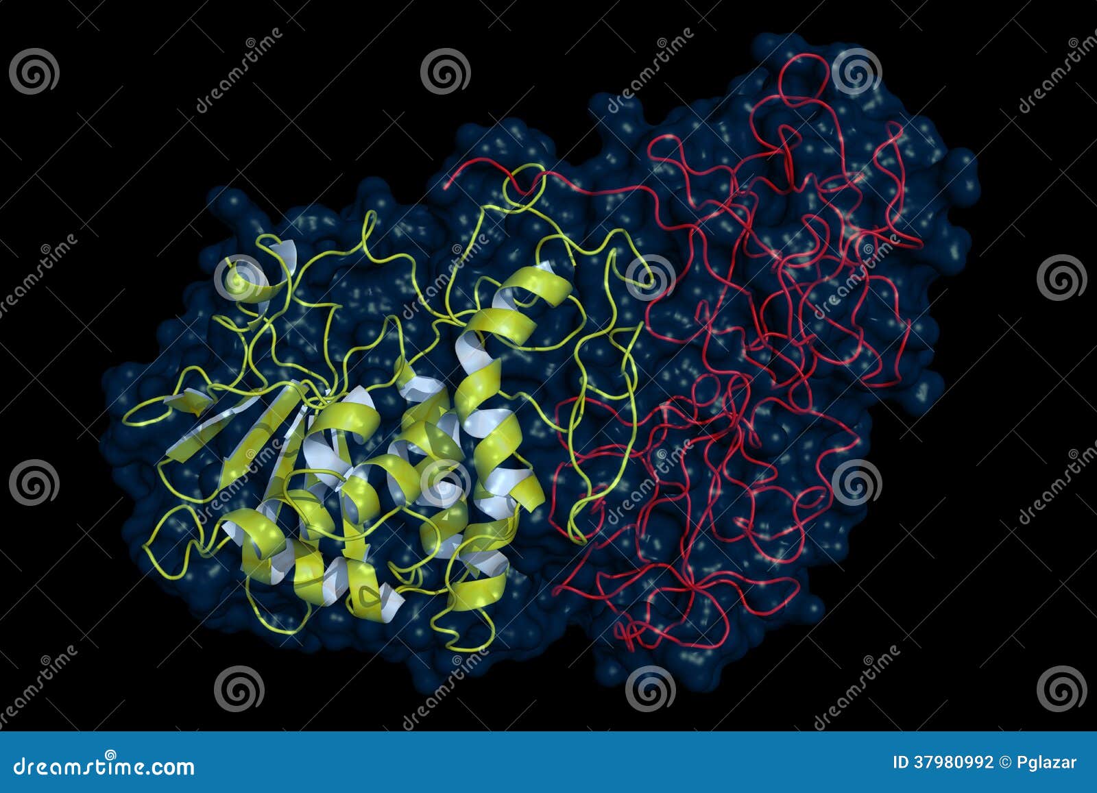Ricin molecule stock illustration. Illustration of atom - 37980992