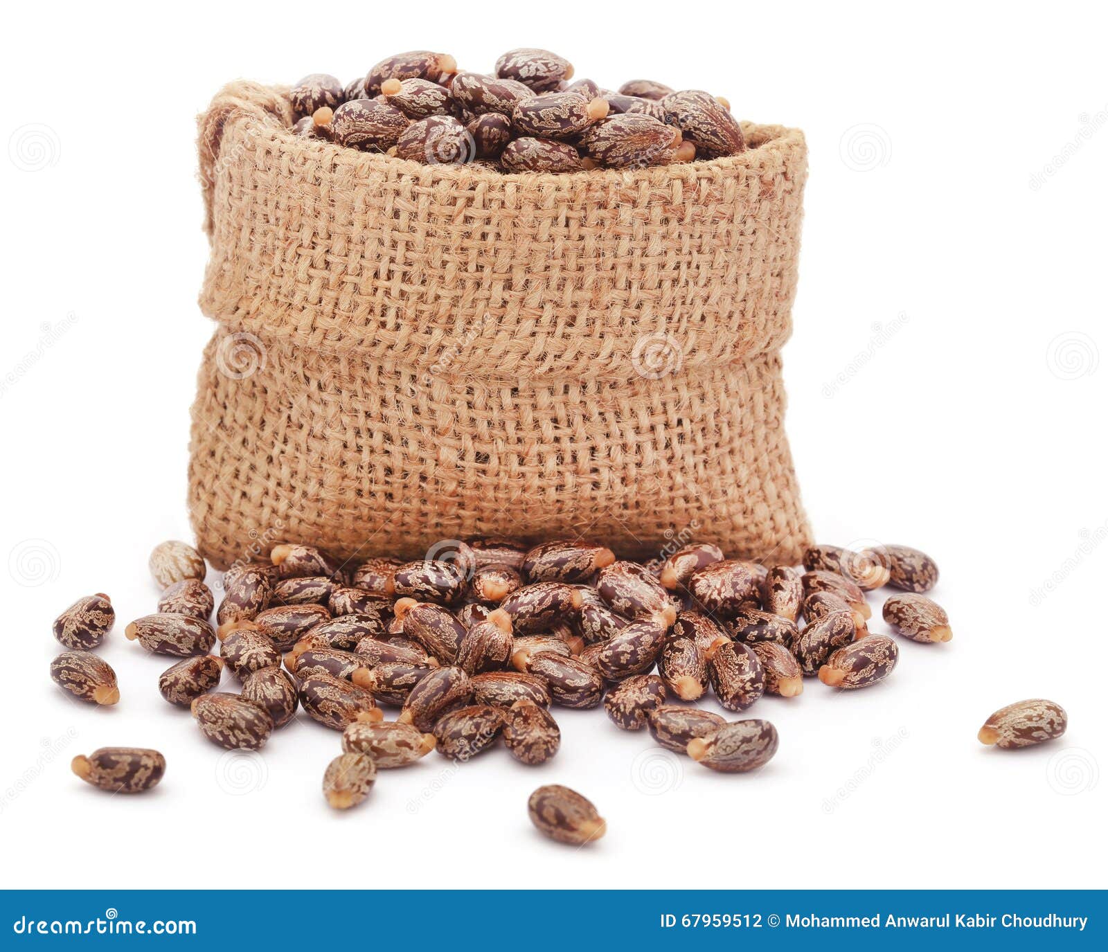 Ricini in sacco della iuta fotografia stock. Immagine di pianta - 67959512