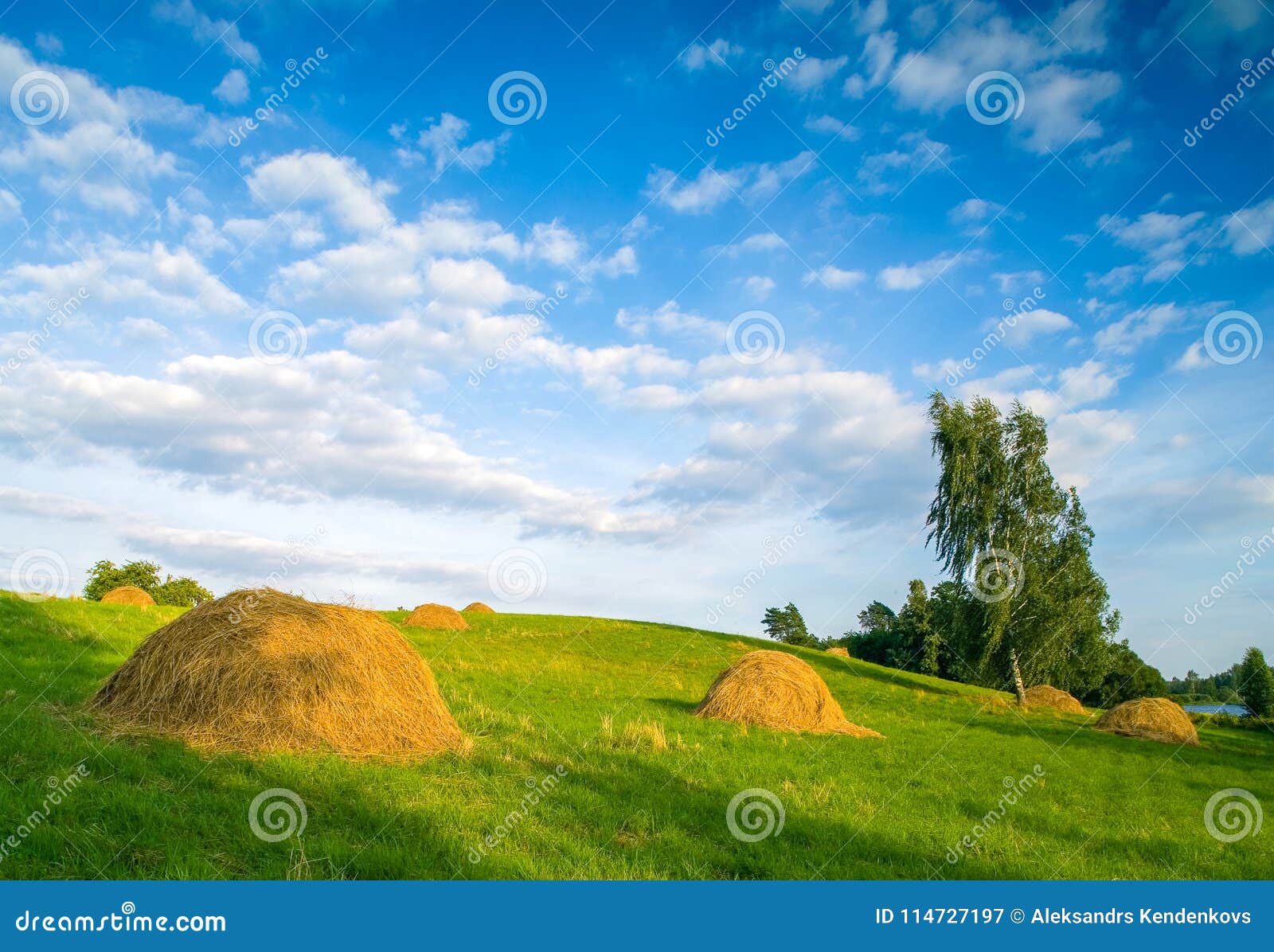 Rick in the Field. Harvest. Stock Image - Image of countryside, farm ...