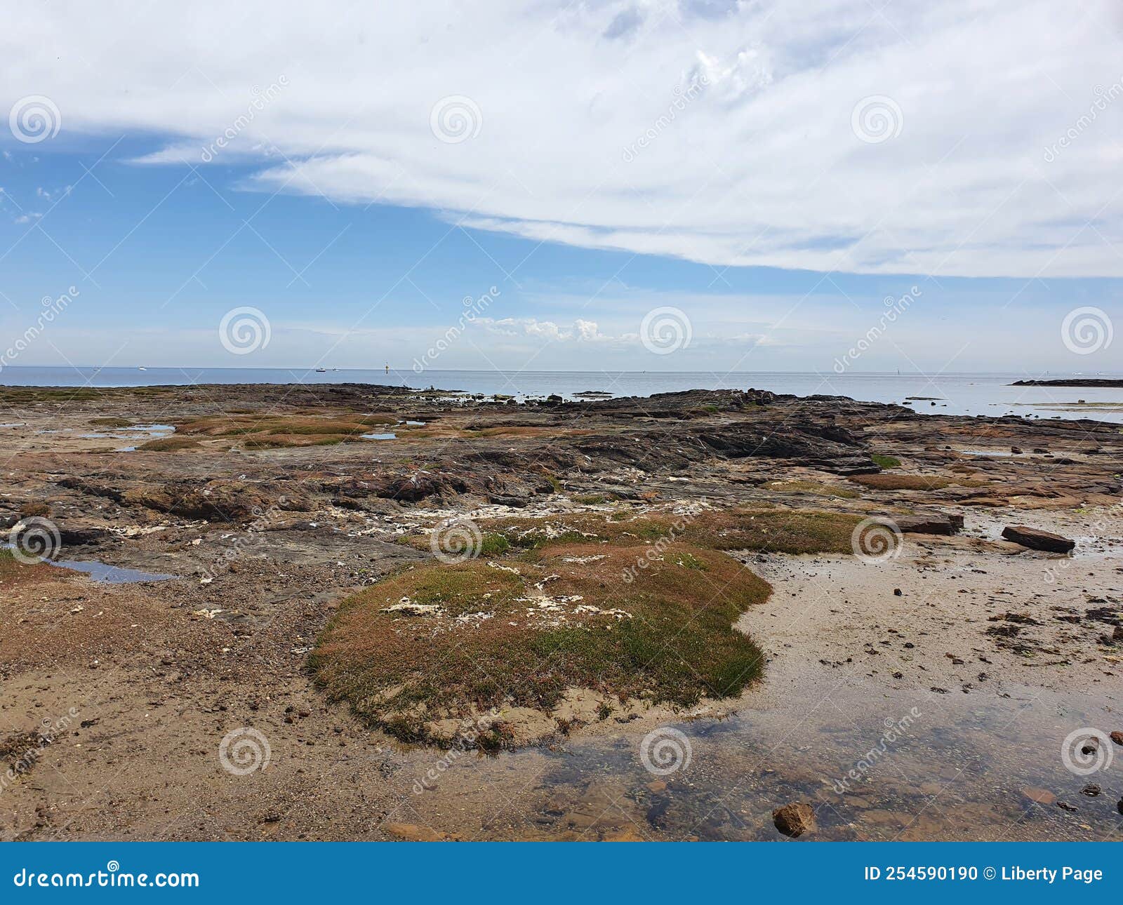 Ricketts Apuntan a Santuario Marino Foto de archivo - Imagen de punta ...