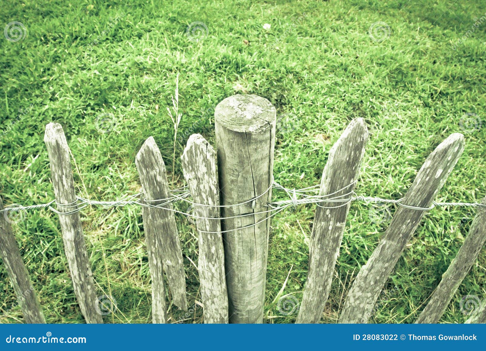 Rickety fence stock photo. Image of boundary, wire, fence - 28083022