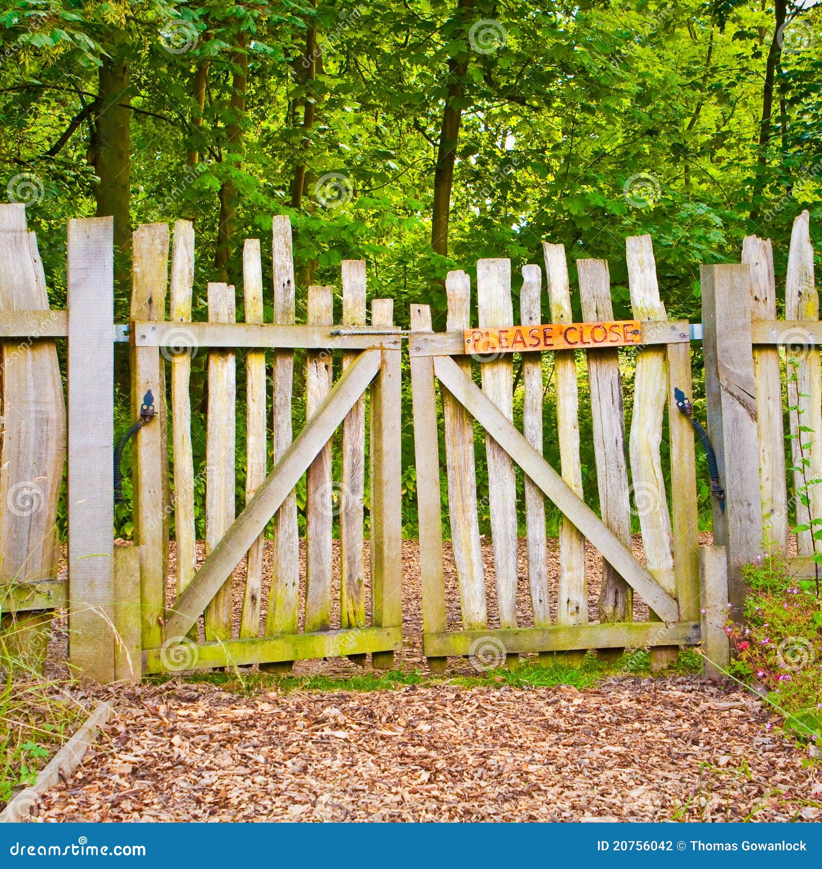 Rickety gate stock photo. Image of foliage, heavenly - 20756042