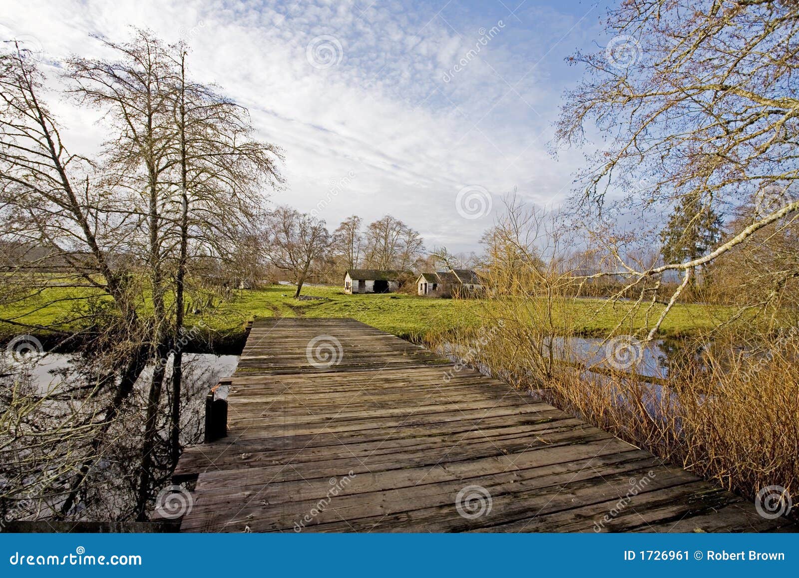 Rickety Wooden Bridge, Brownsmead Stock Image - Image of pier, white ...