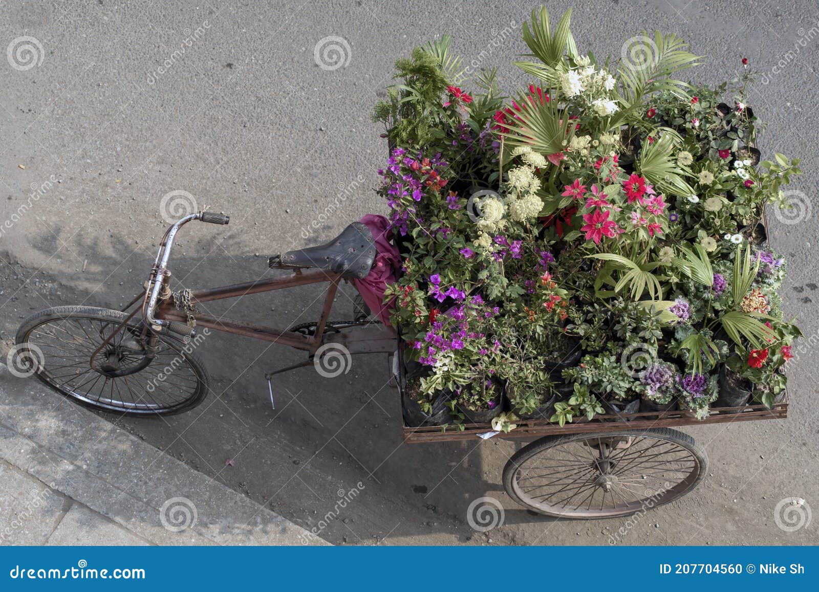 Flower Rickshaw Stock Photography | CartoonDealer.com #25451570