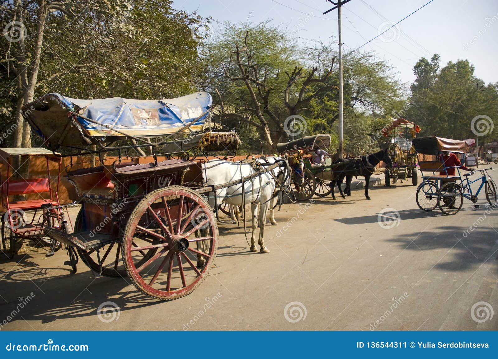 Rickshaws and Carts with Horses are on the Street in India and Waiting ...