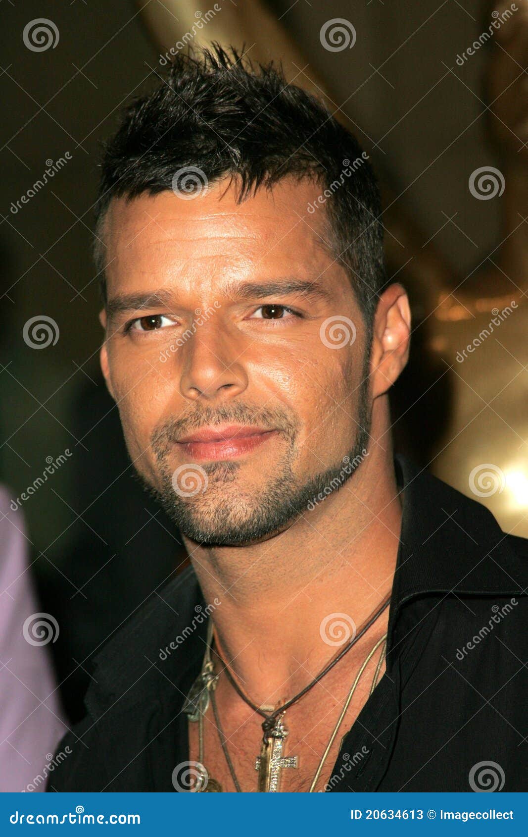 Ricky Martin editorial stock photo. Image of ricky, martin - 20634613