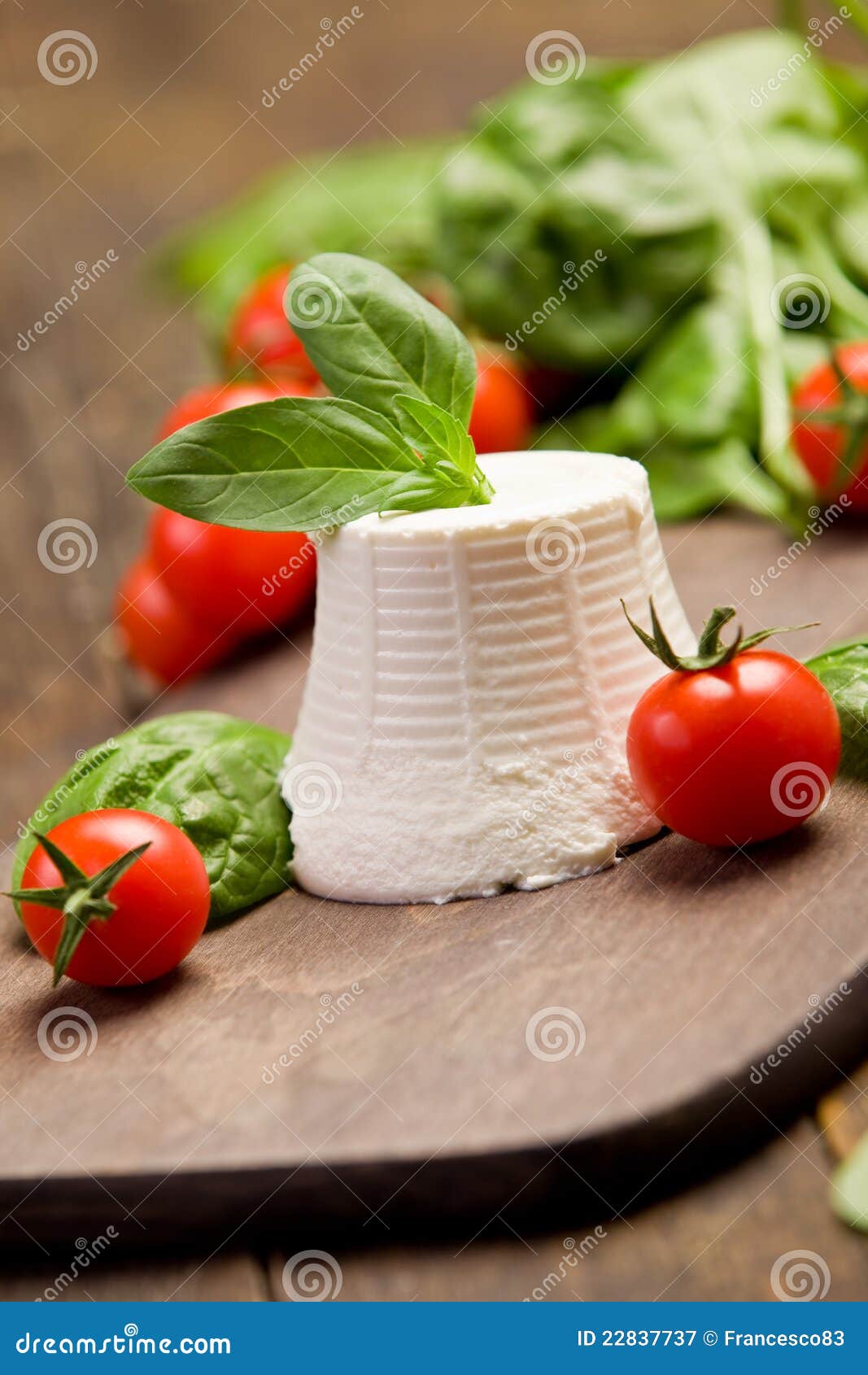 Ricotta Cheese stock image. Image of italy, vegetarian - 22837737