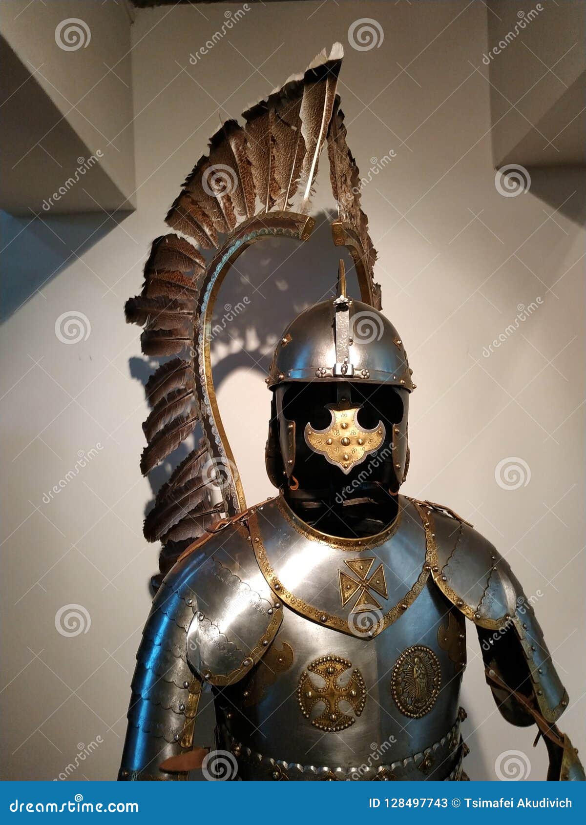 Riddare fotografering för bildbyråer. Bild av slott - 128497743