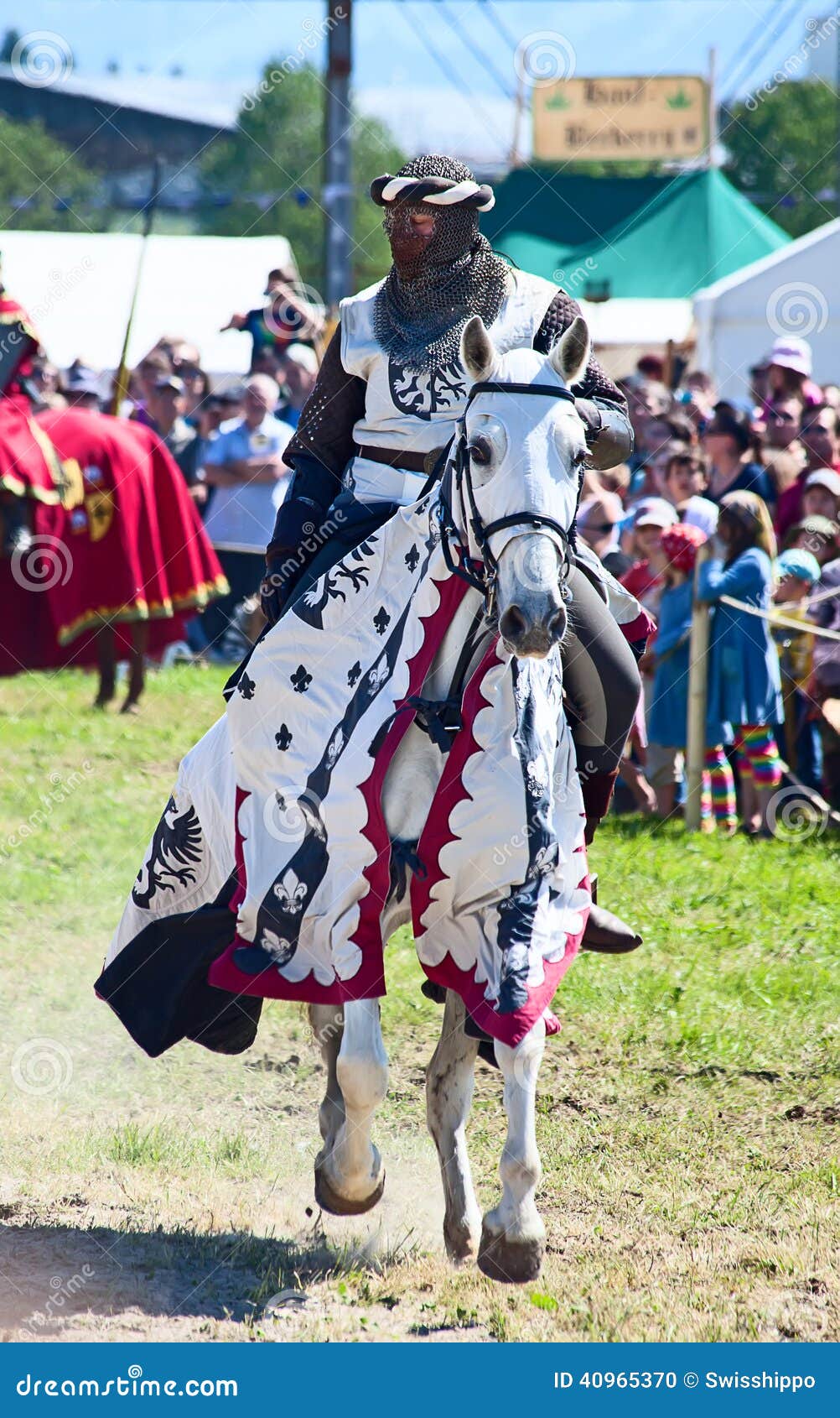 Ridder redactionele afbeelding. Image of actie, bescherming - 40965370