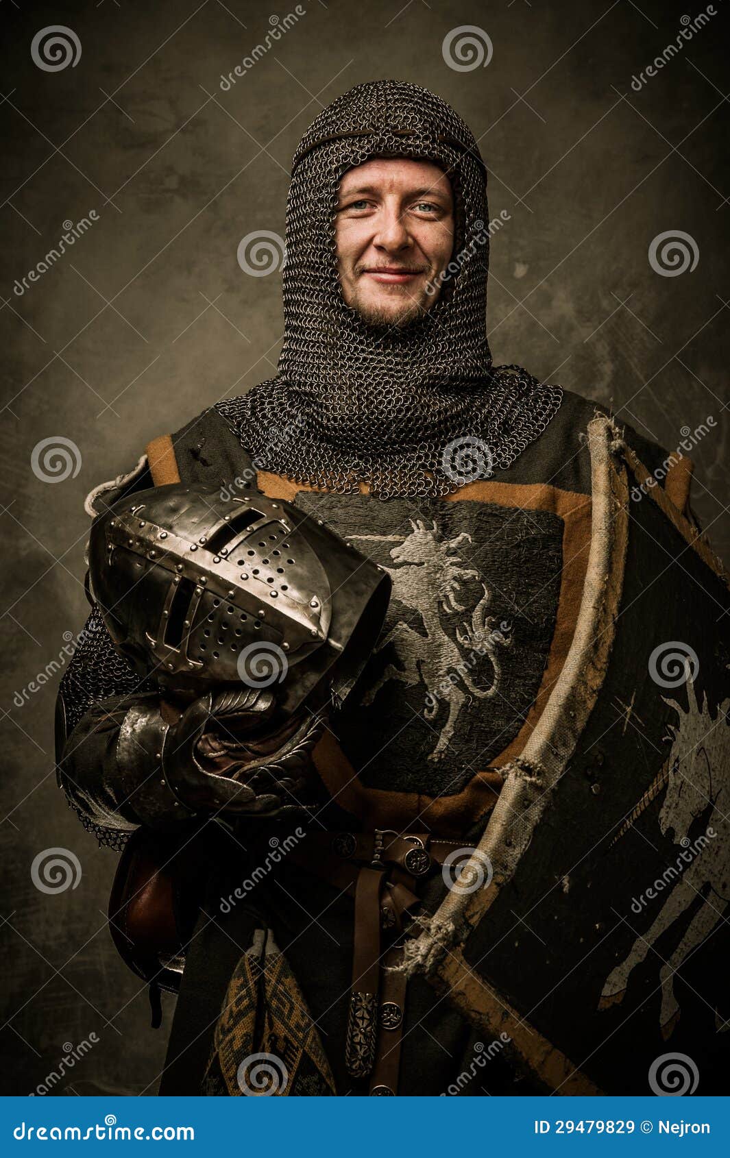 Ridder met schild stock afbeelding. Image of goud, geschiedenis - 29479829