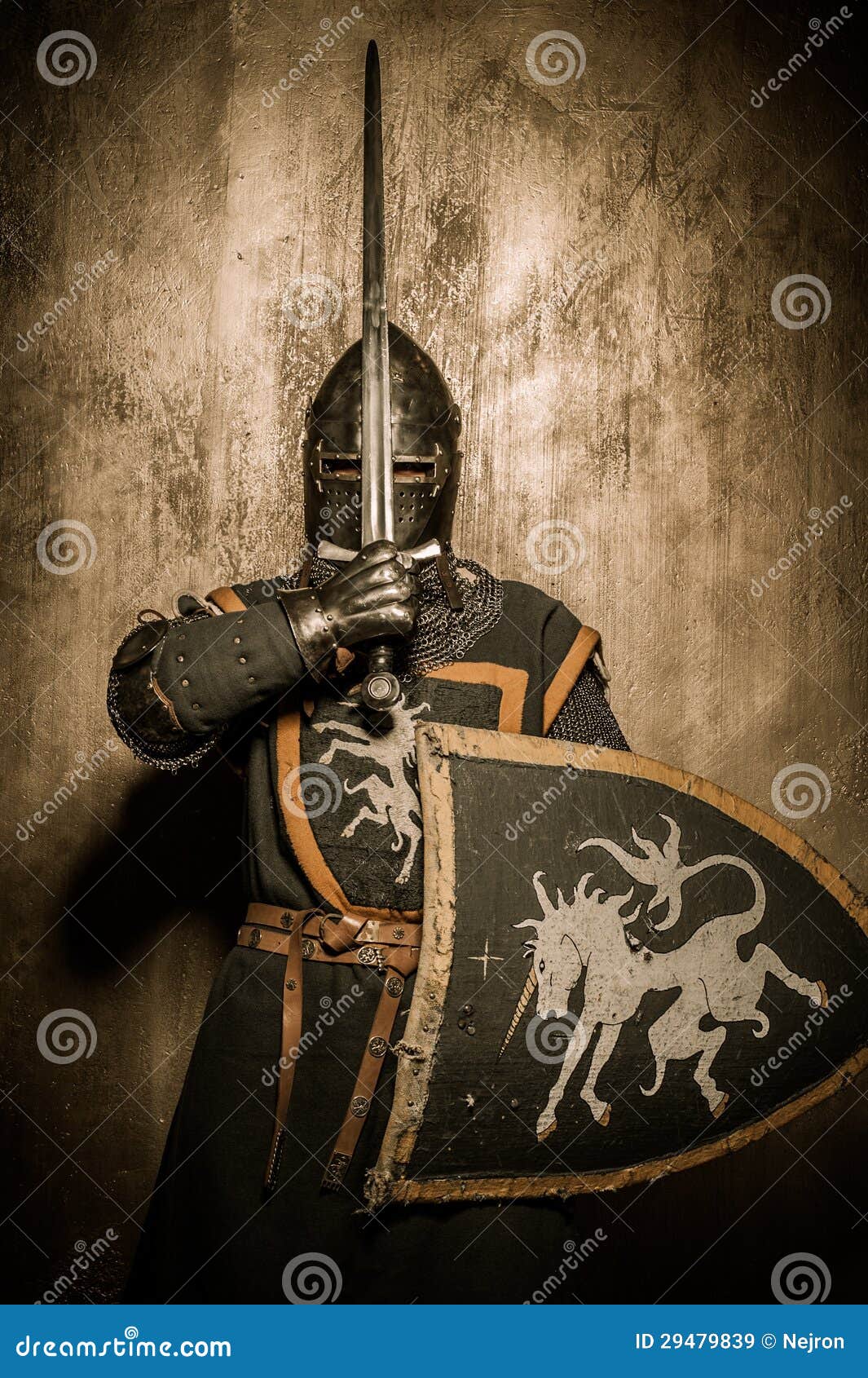 Ridder met schild stock afbeelding. Image of woede, wapens - 29479839