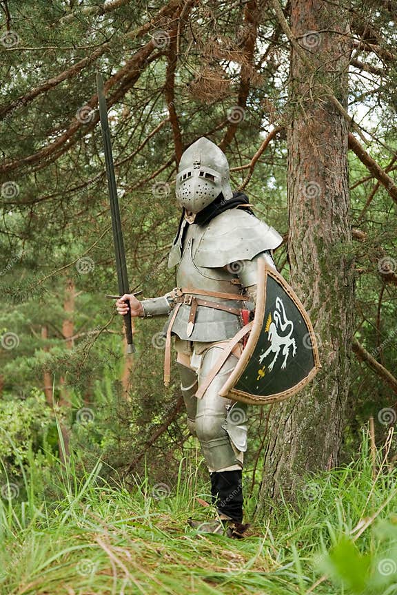 Ridder in pantser stock afbeelding. Image of kleding - 18811485
