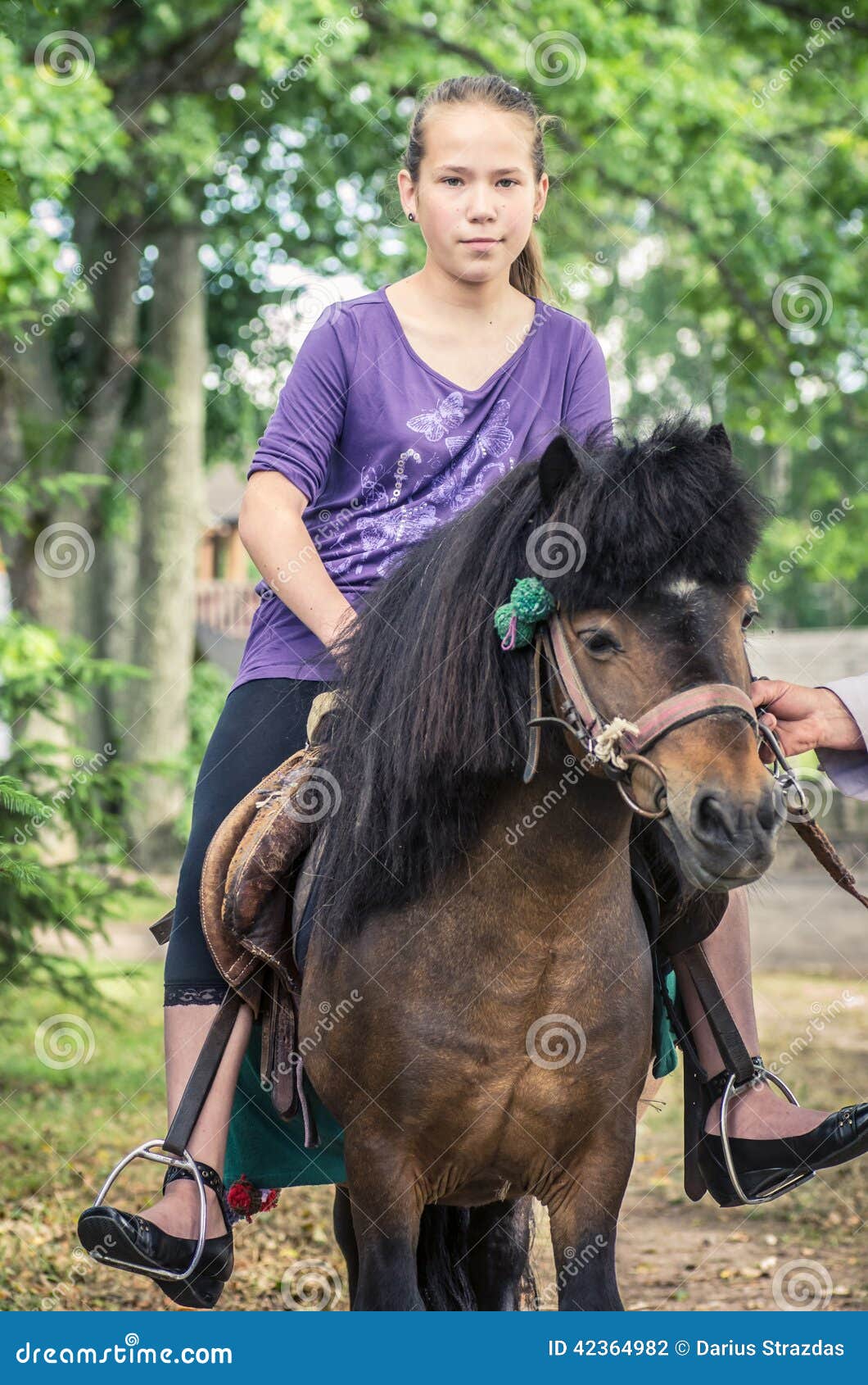 Ridding girl stock photo. Image of woman, girl, sport - 42364982