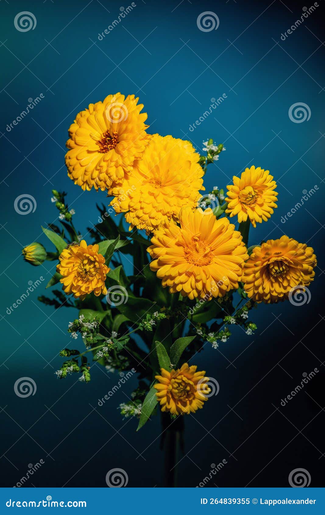 Riddles Bouquet on Blue Background Stock Image - Image of flower, multi ...