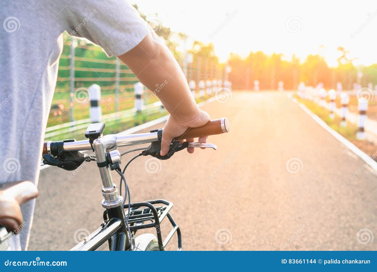Ride a Bike on the Summer Road. Stock Photo - Image of bike, park: 83661144